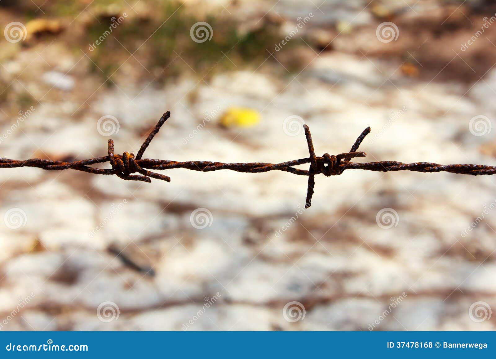 Rusty barbed wire. stock photo. Image of barb, dangerous - 37478168