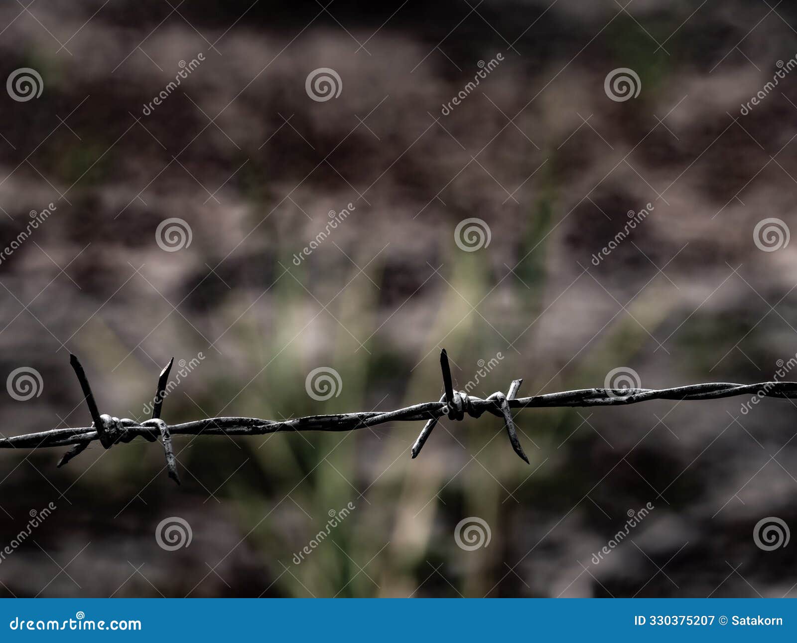 Rusty Barbed Wire Fences are Sharp and Aggressive Stock Image - Image ...