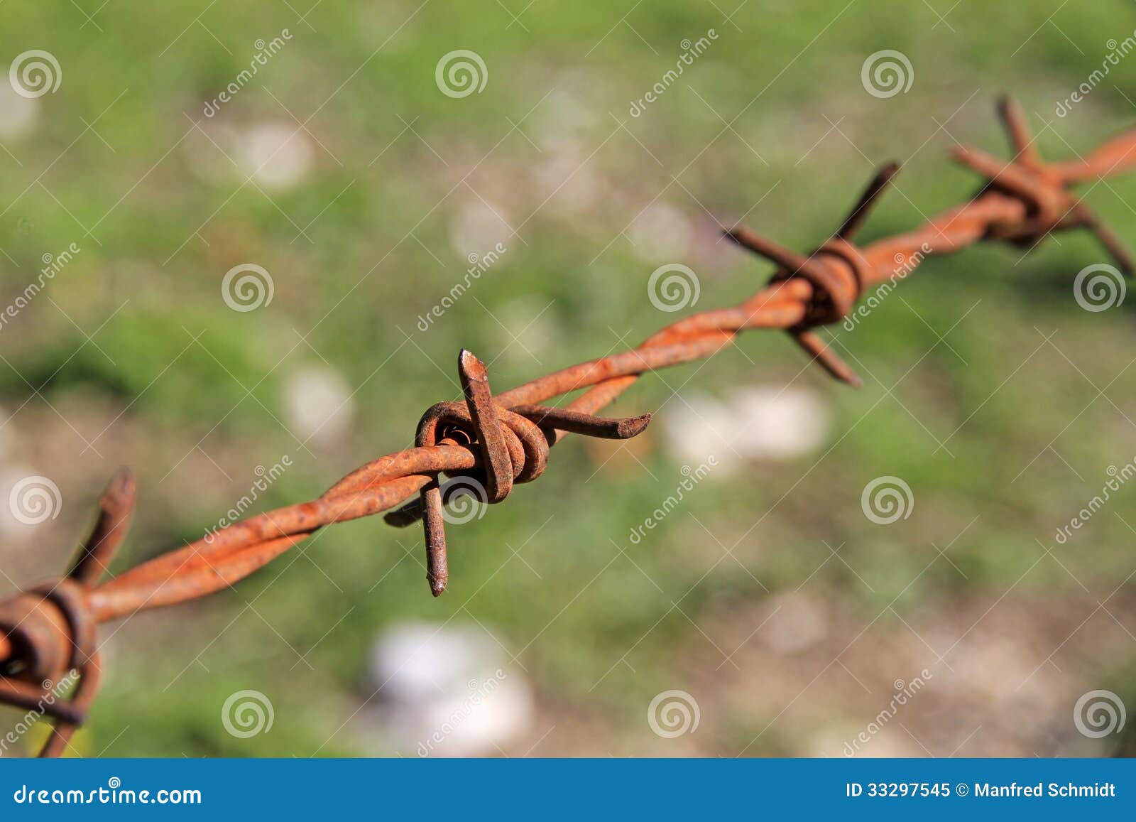 Rusty barbed wire stock image. Image of meadow, guard - 33297545