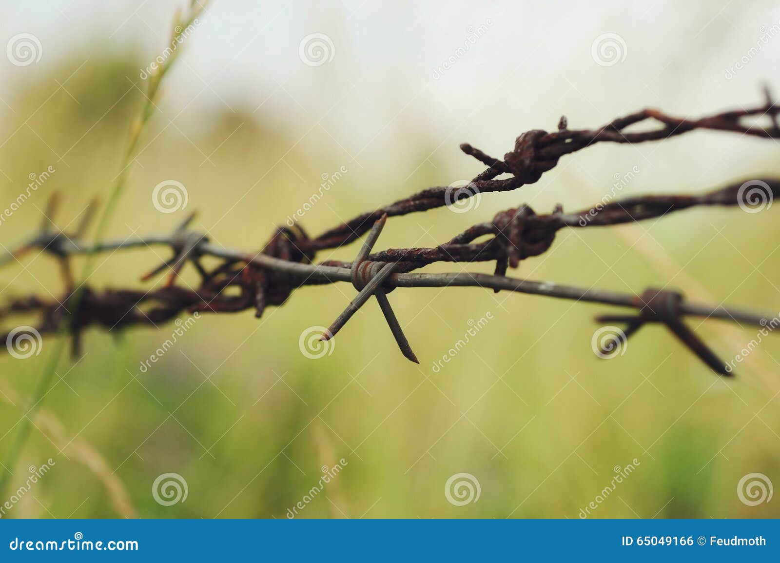Rusty Barbed Razor Wire Tape Corroded Macro Closeup, Seamless Rusted ...