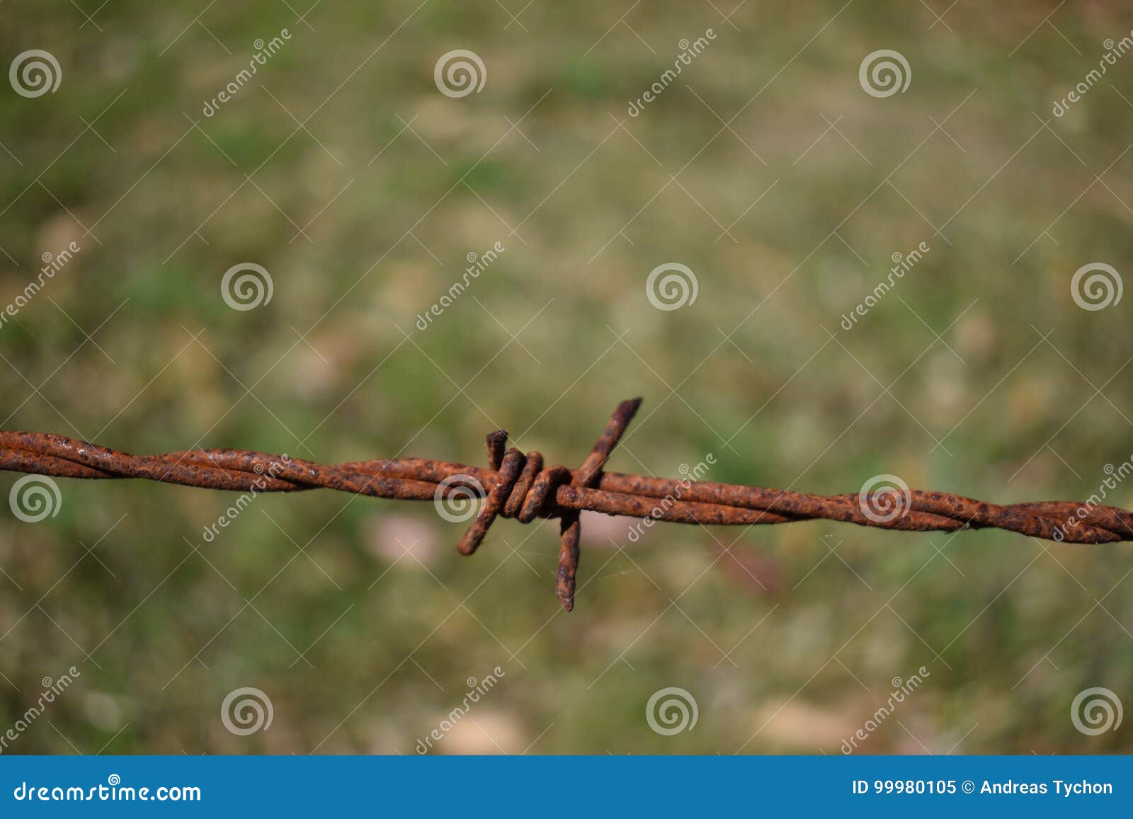 Rusty Barbed Wire Horizontal Stock Image - Image of danger, barb: 99980105