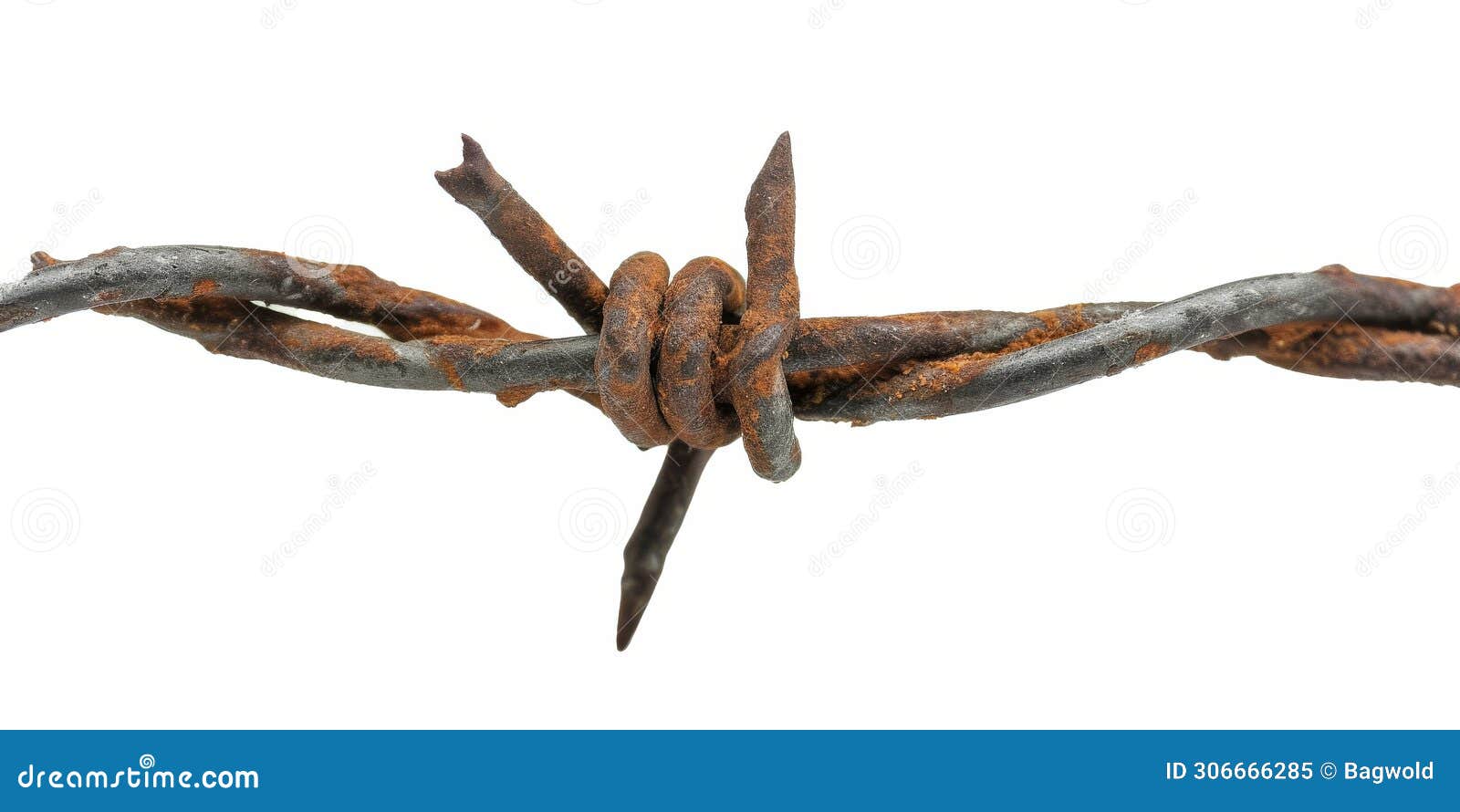 Rusty Barbed Wire Isolated on a White Background Stock Illustration ...