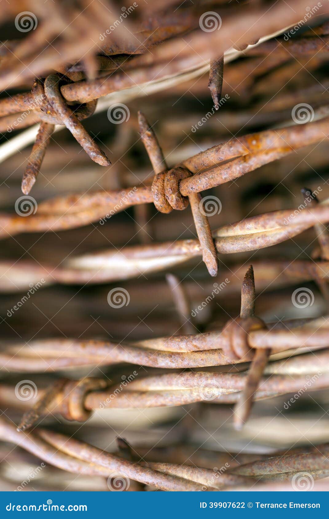 Rusty Barbed Wire Macro stock photo. Image of boundary - 39907622
