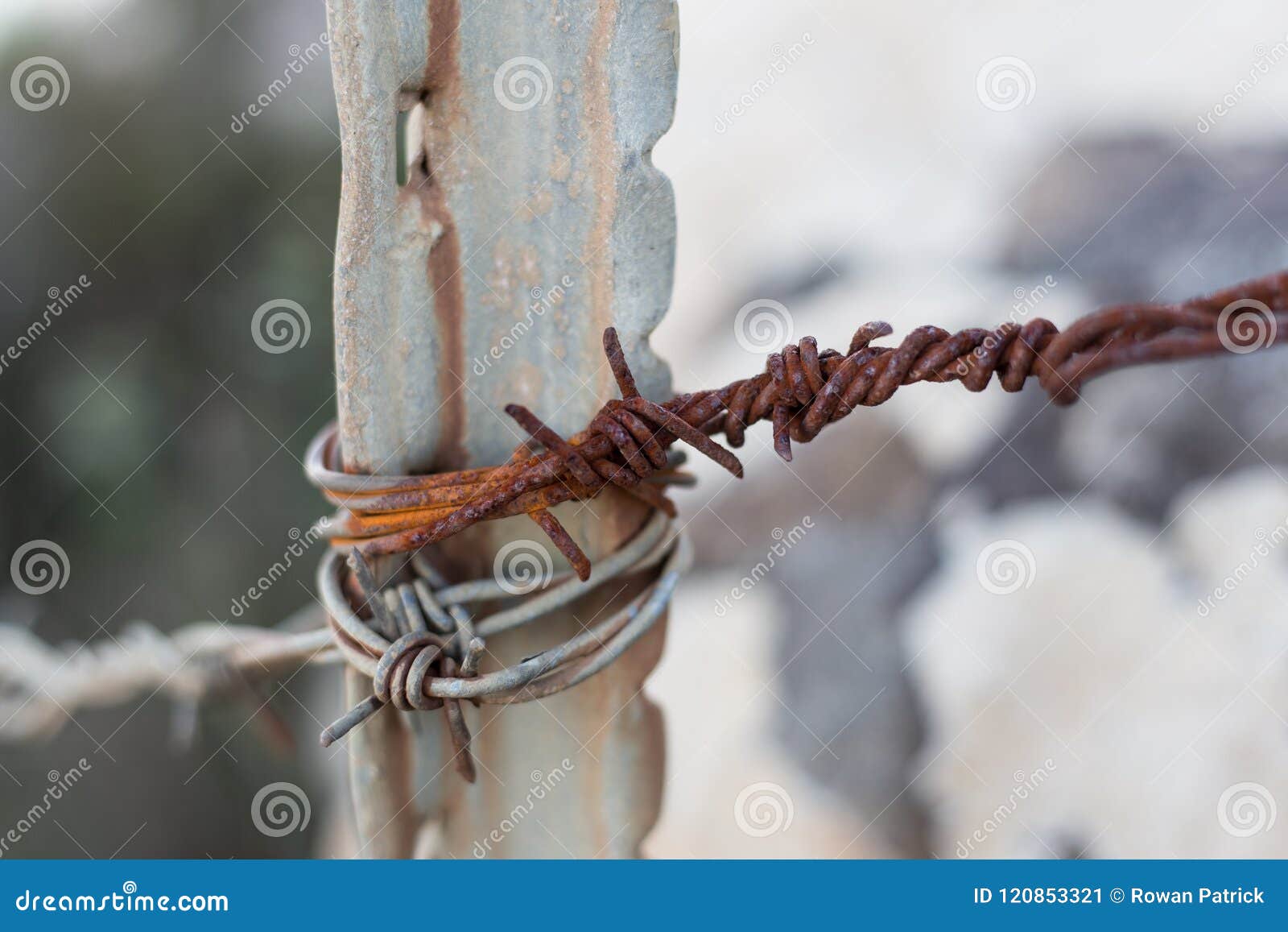 Rusty Barbed wire stock image. Image of prisoner, prison - 120853321