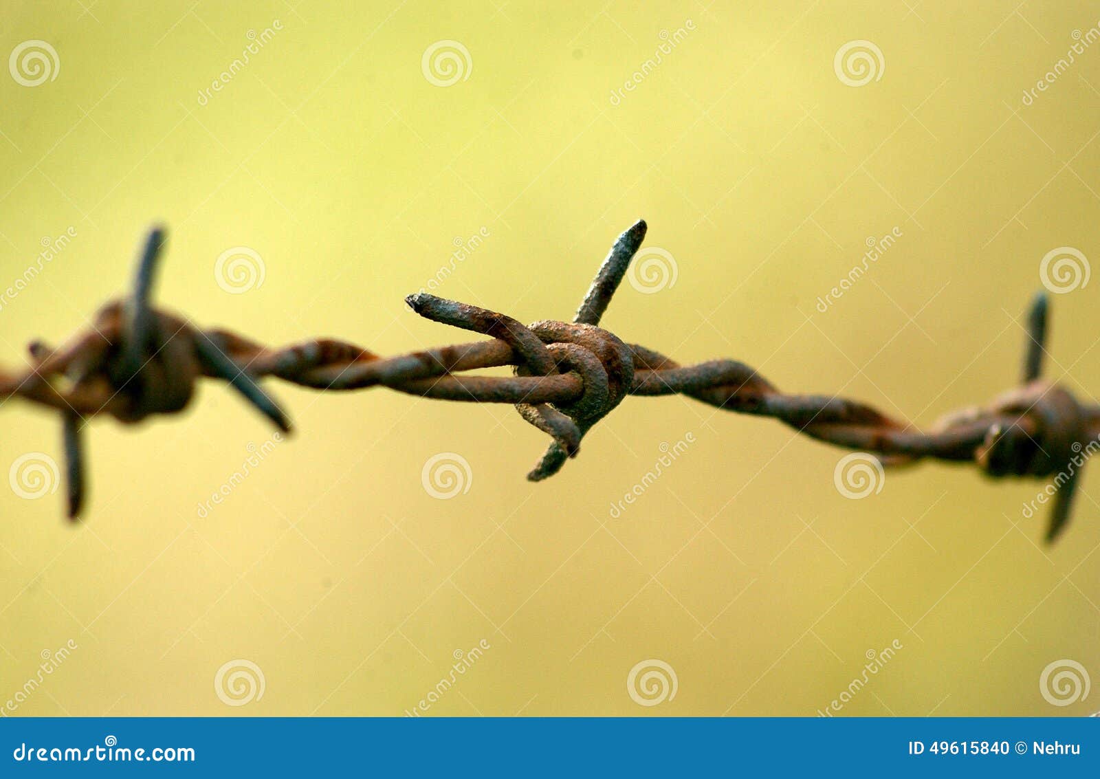 Rusty barbed wire stock photo. Image of freum, danger - 49615840