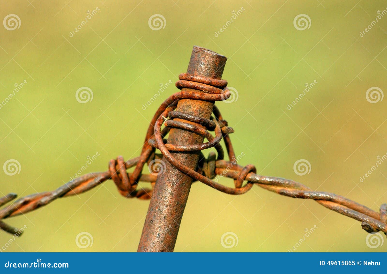 Rusty barbed wire stock image. Image of oxidation, bokeh - 49615865