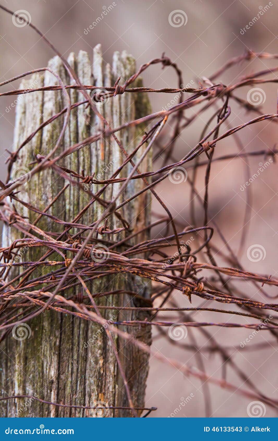 Rusty Barbed Wire on Rustic Fence Post - Close Up Stock Image - Image ...