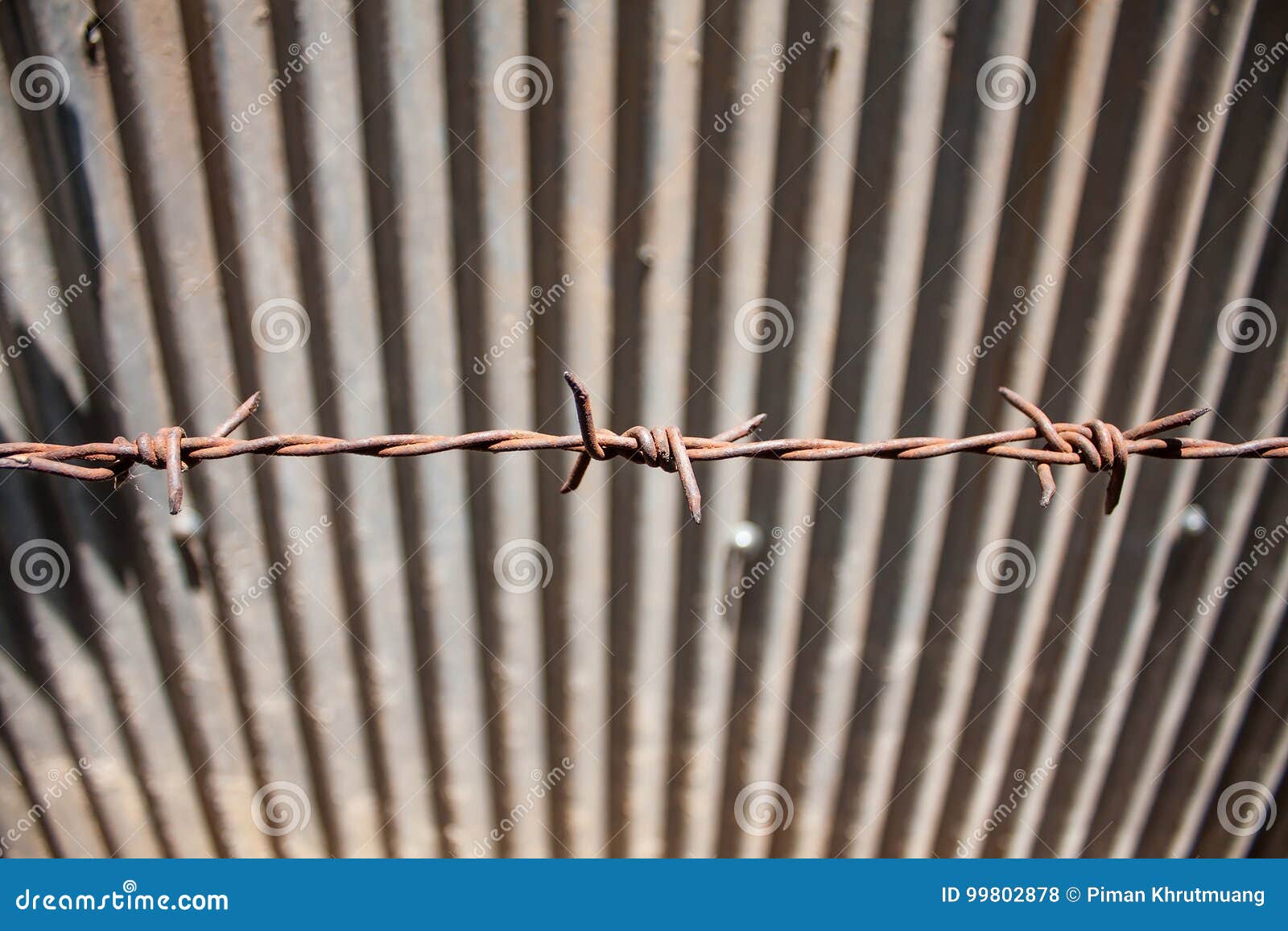 Rusty barbed wire stock photo. Image of safety, military - 99802878