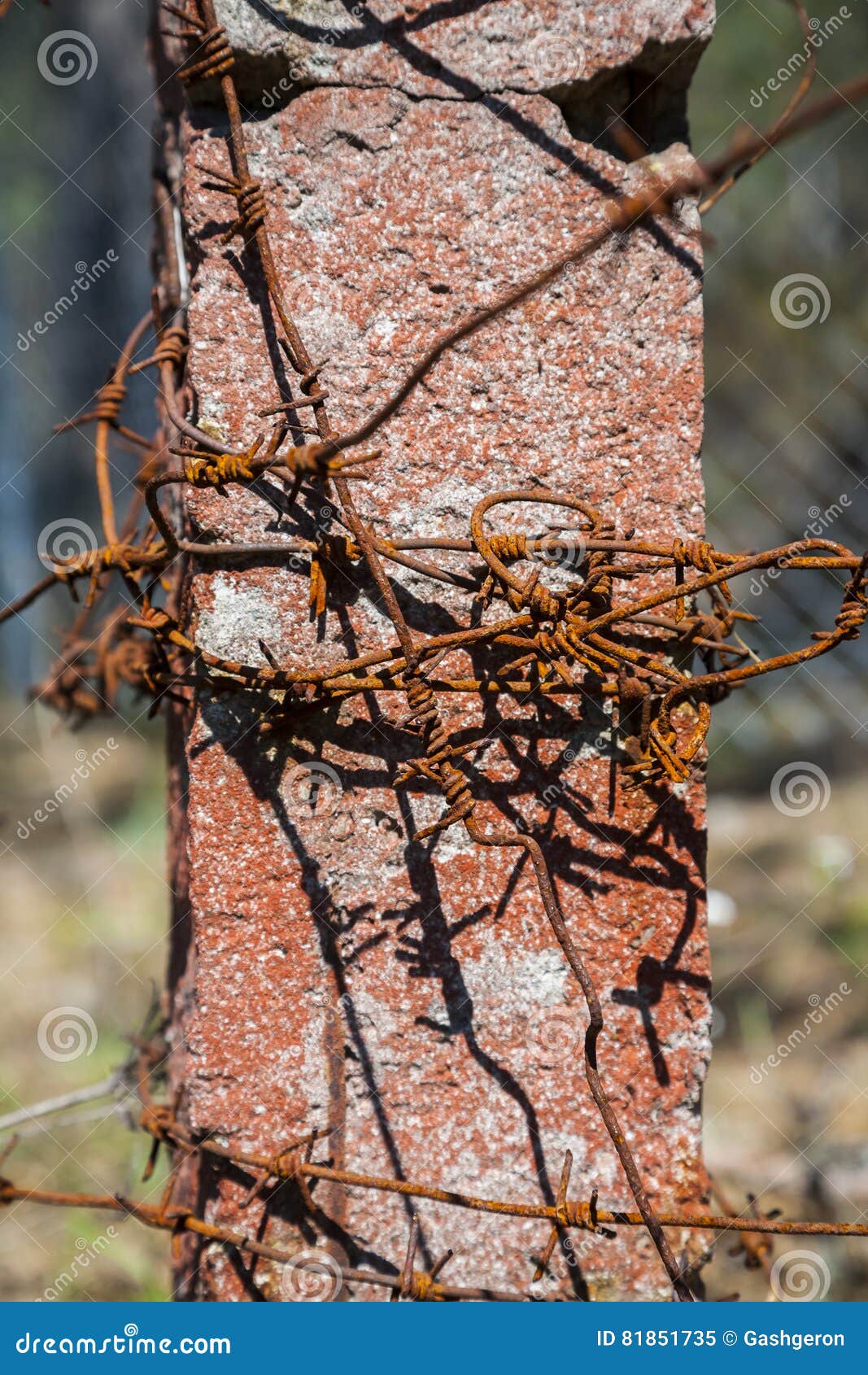 Rusty barbed wire. stock image. Image of rusty, protection - 81851735