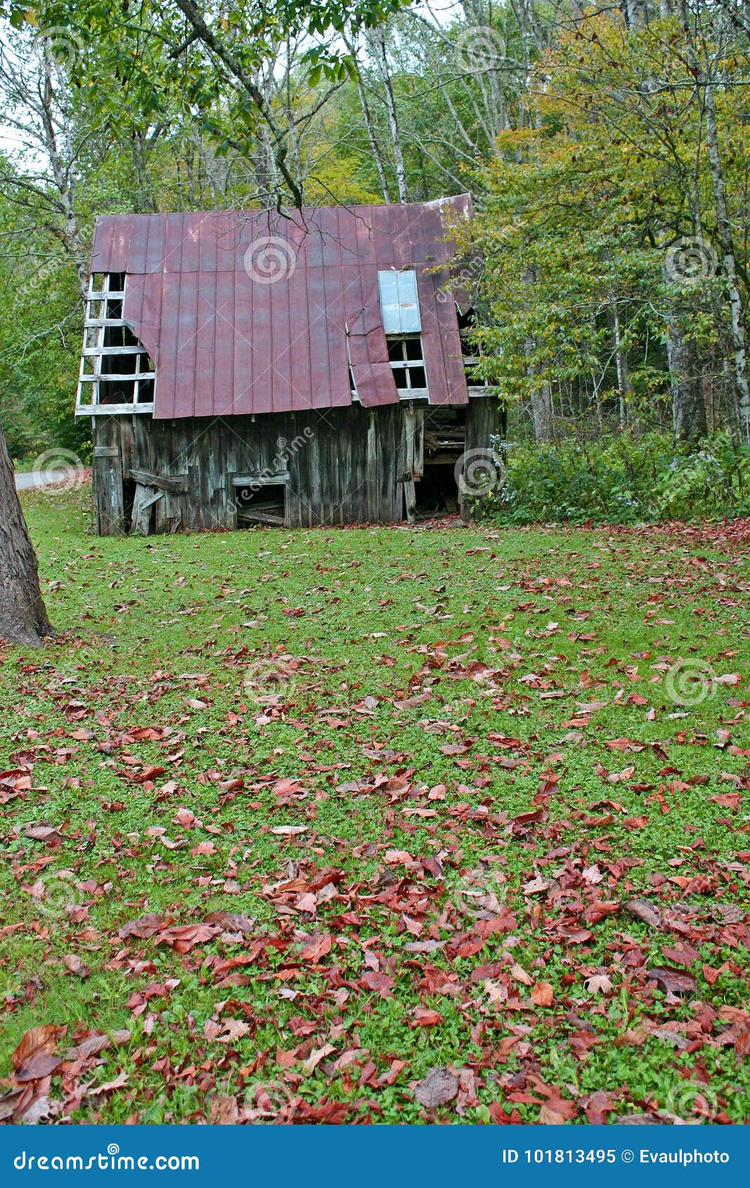 Rusty Barn, Fall Leaves Vertical Stock Image - Image of agriculture ...