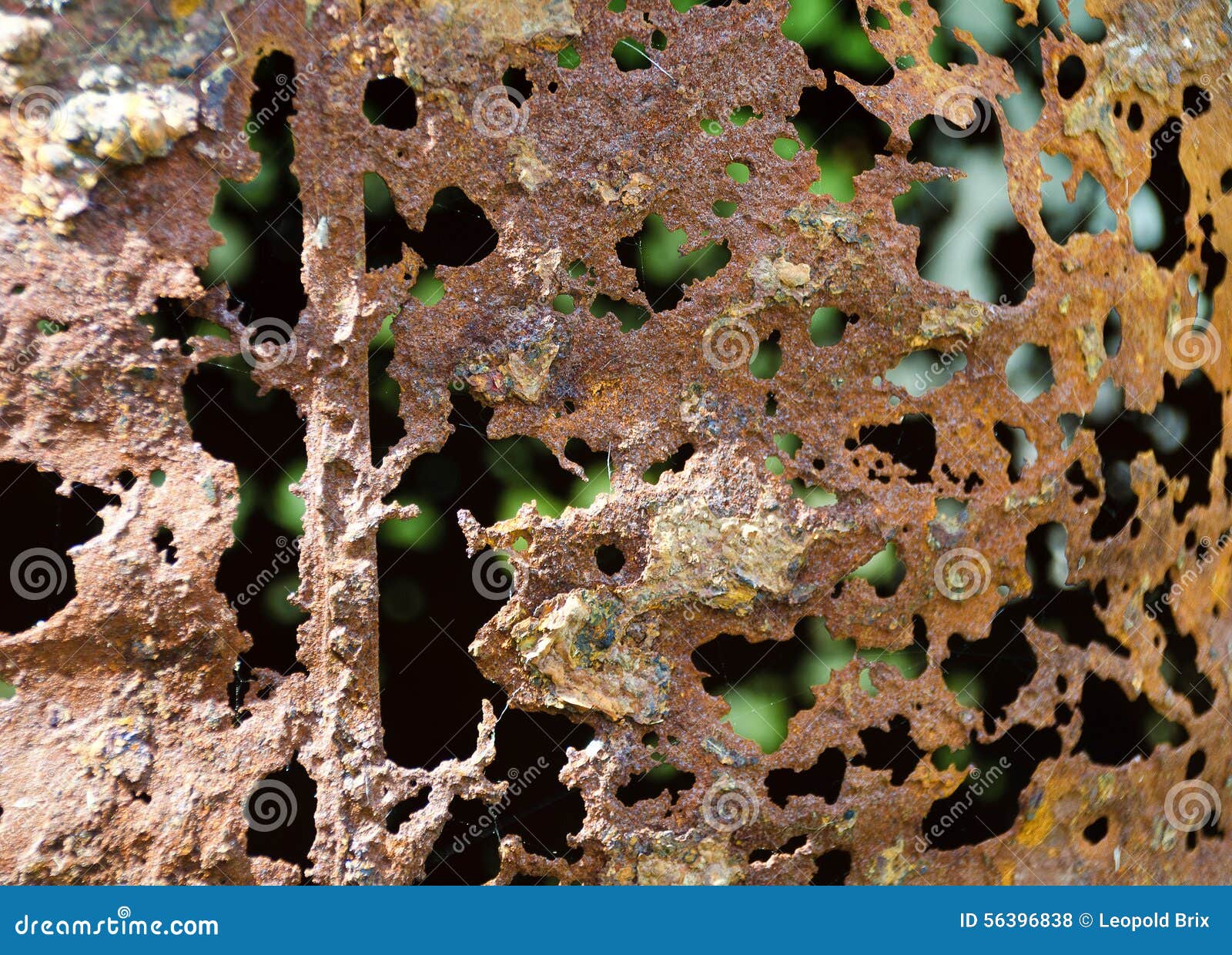 Rusty barrel with holes stock photo. Image of petrol - 56396838