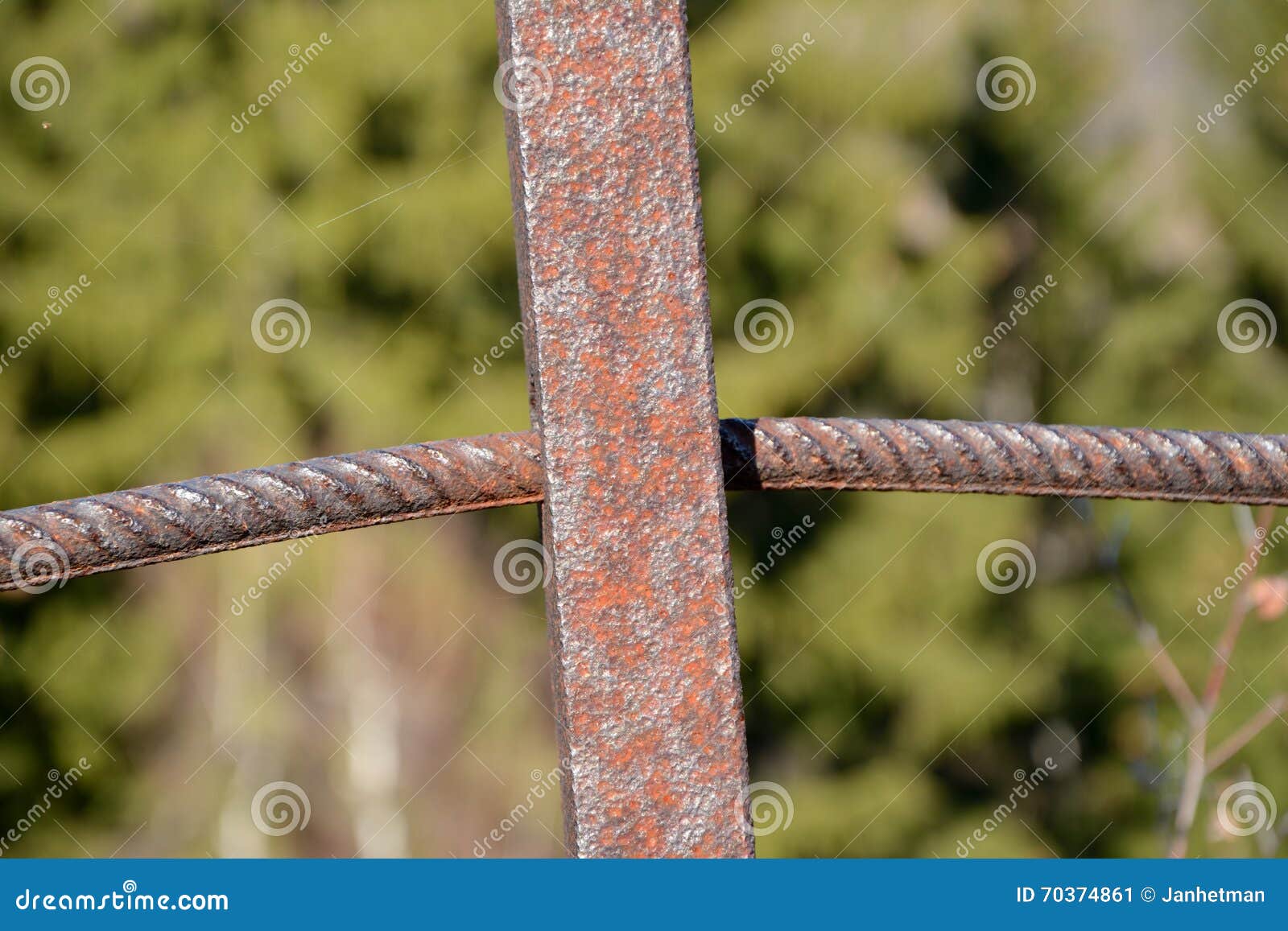 Rusty bars stock image. Image of trees, aged, metal, vintage - 70374861