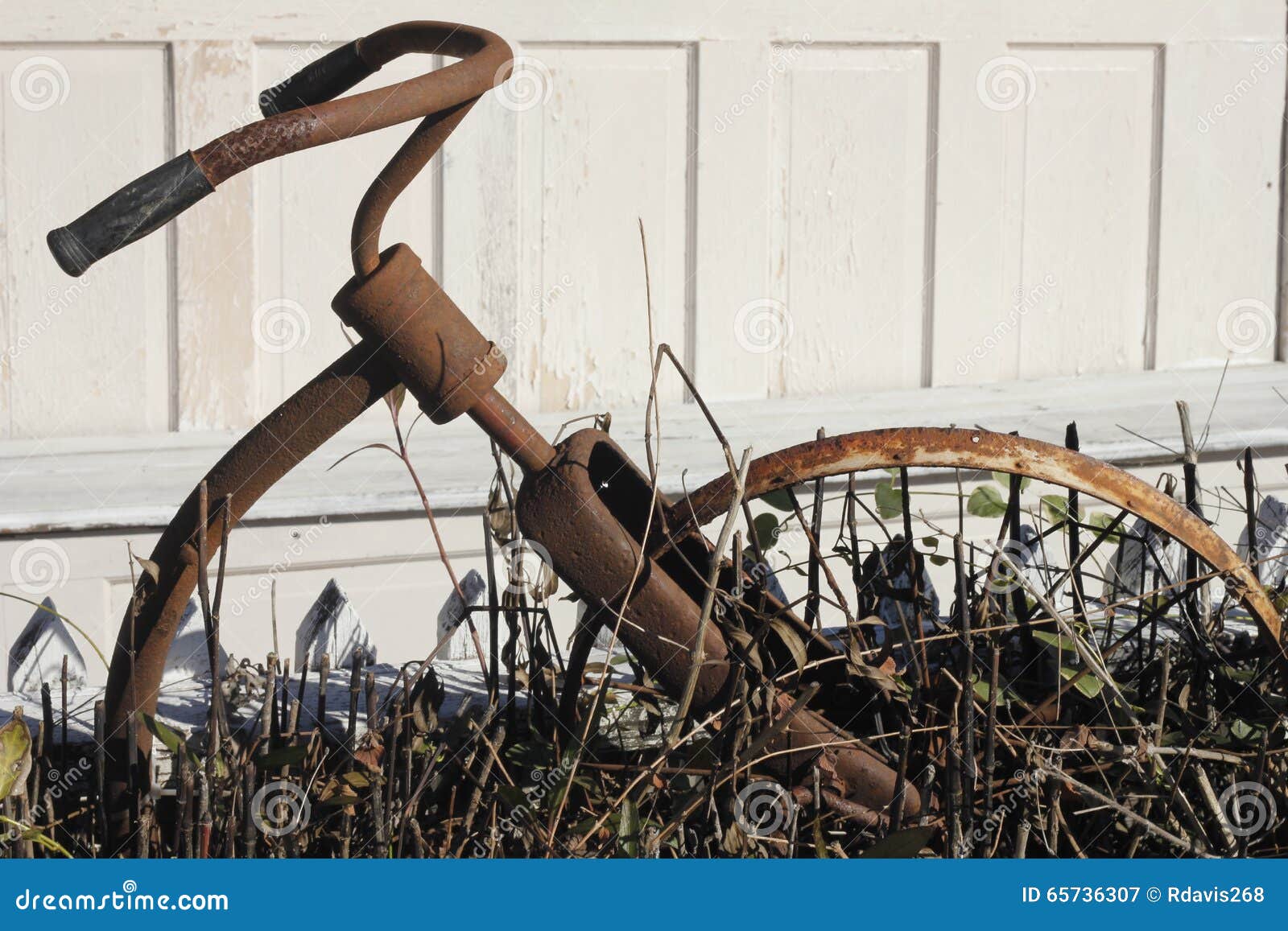 Rusty bike stock image. Image of planter, frame, background - 65736307