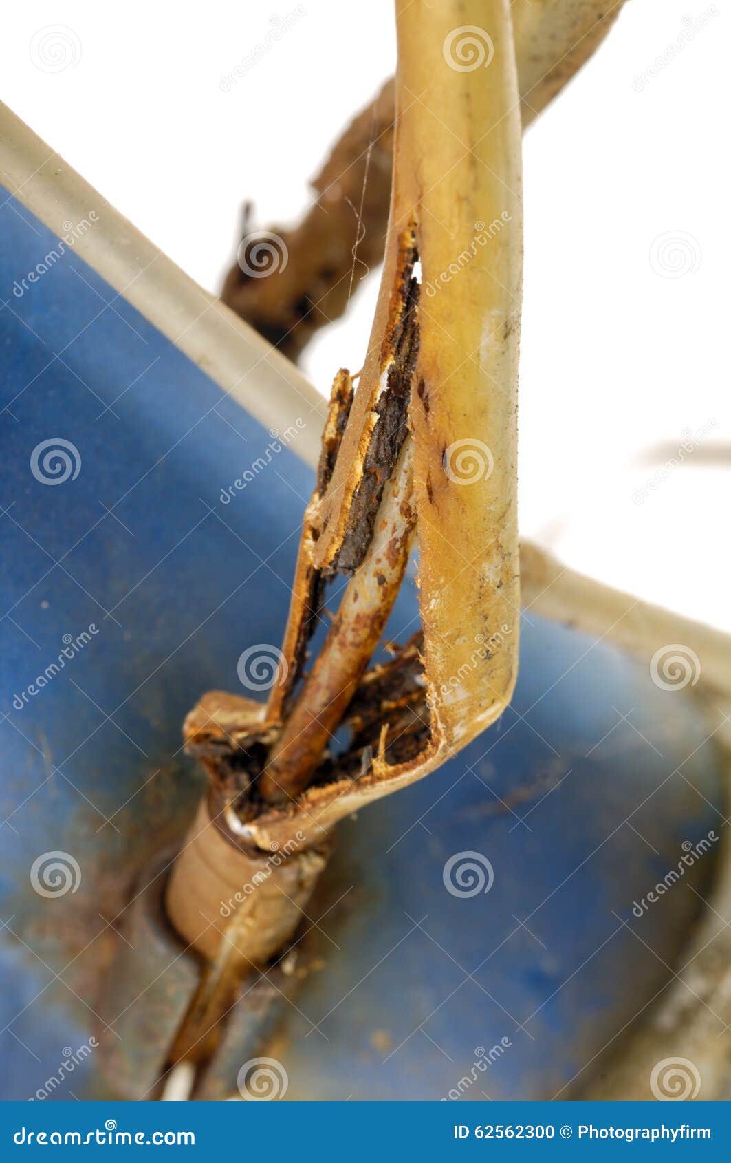 Rusty bike cables stock photo. Image of brake, frame - 62562300
