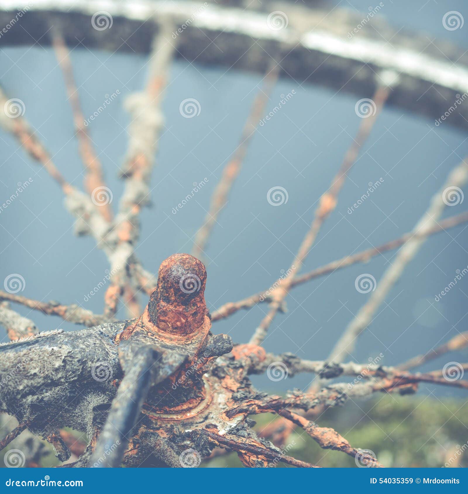 Rusty Bike by Water stock image. Image of broken, canal - 54035359