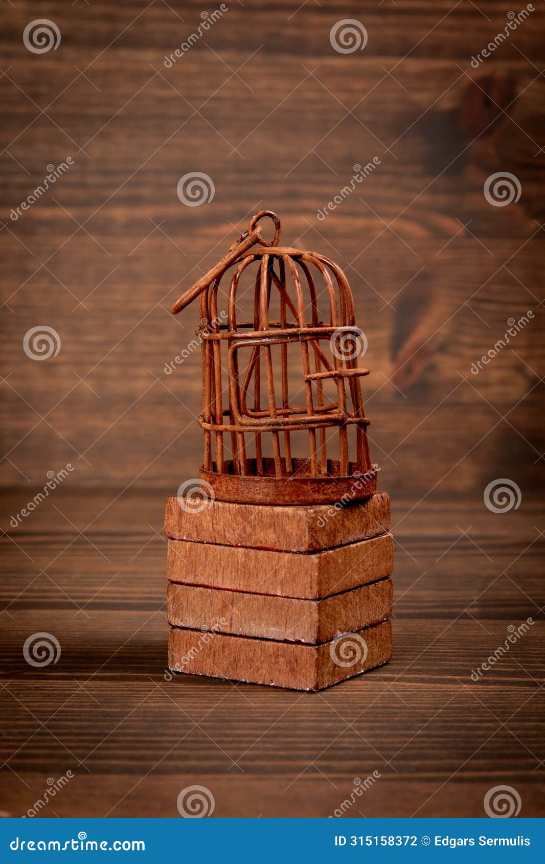 Rusty Bird Cage on Wood Texture Background. Captivity, Prison and the ...