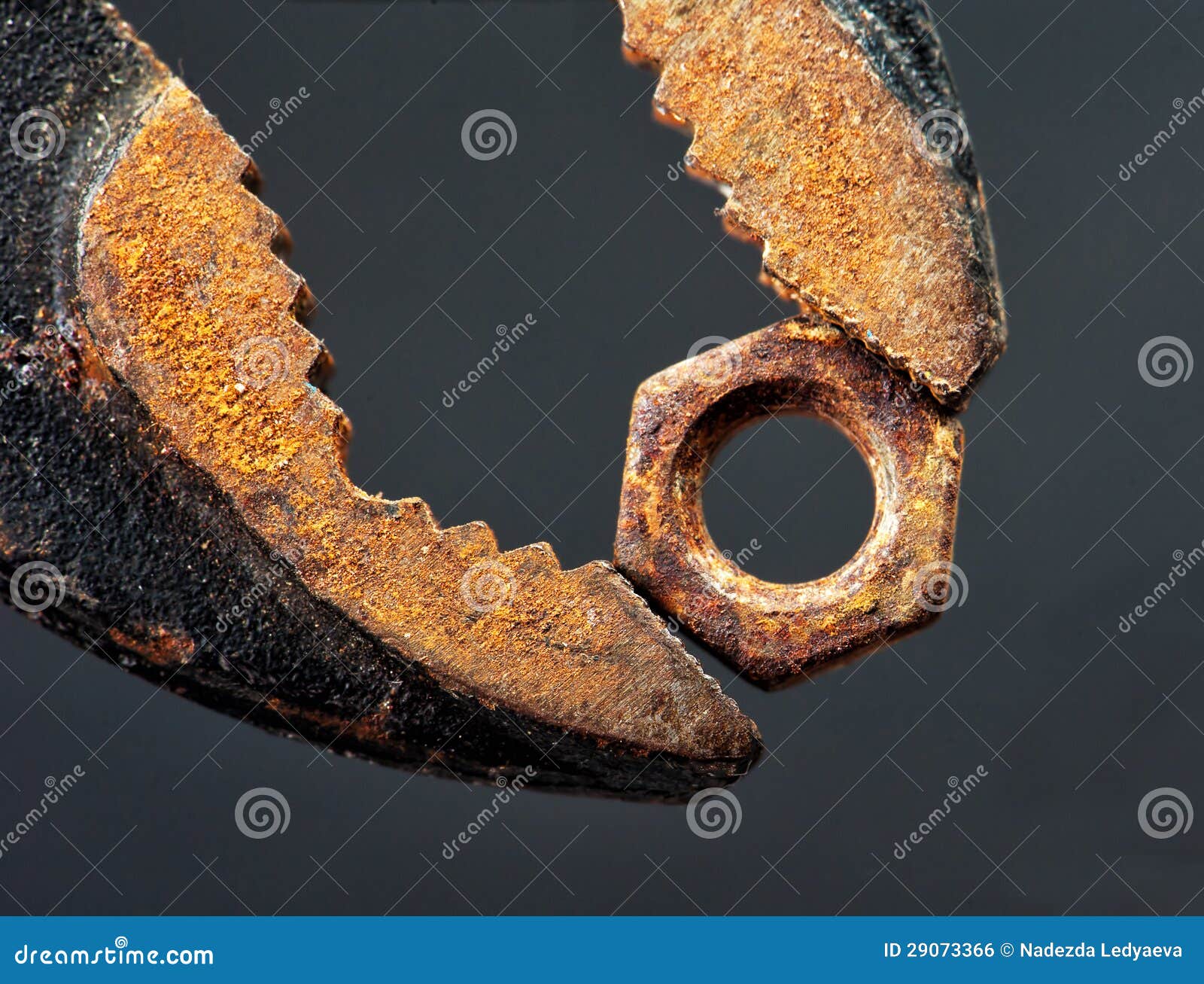 Rusty bolt stock photo. Image of strength, industry, machine - 29073366