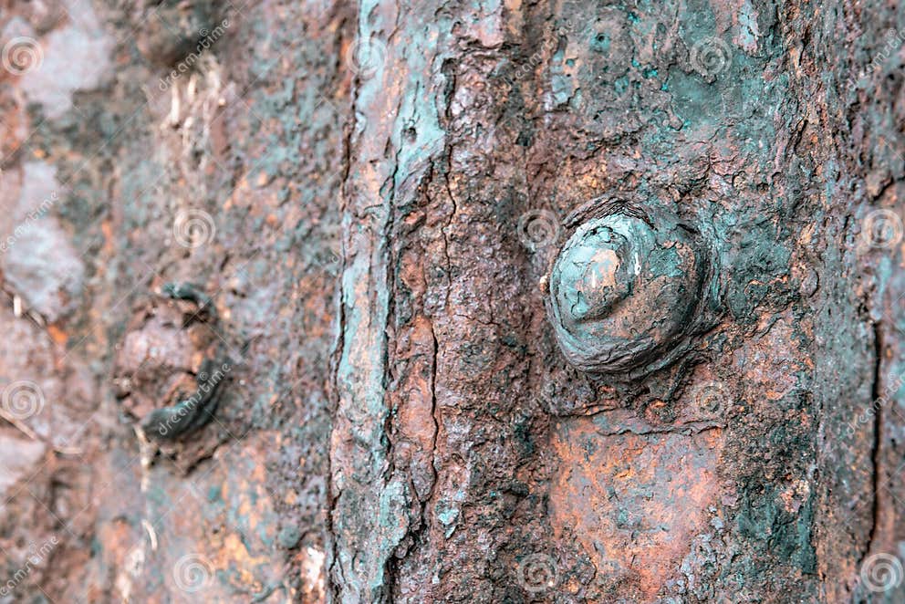 Rusty Bolt Texture Background Stock Image - Image of background, wood ...