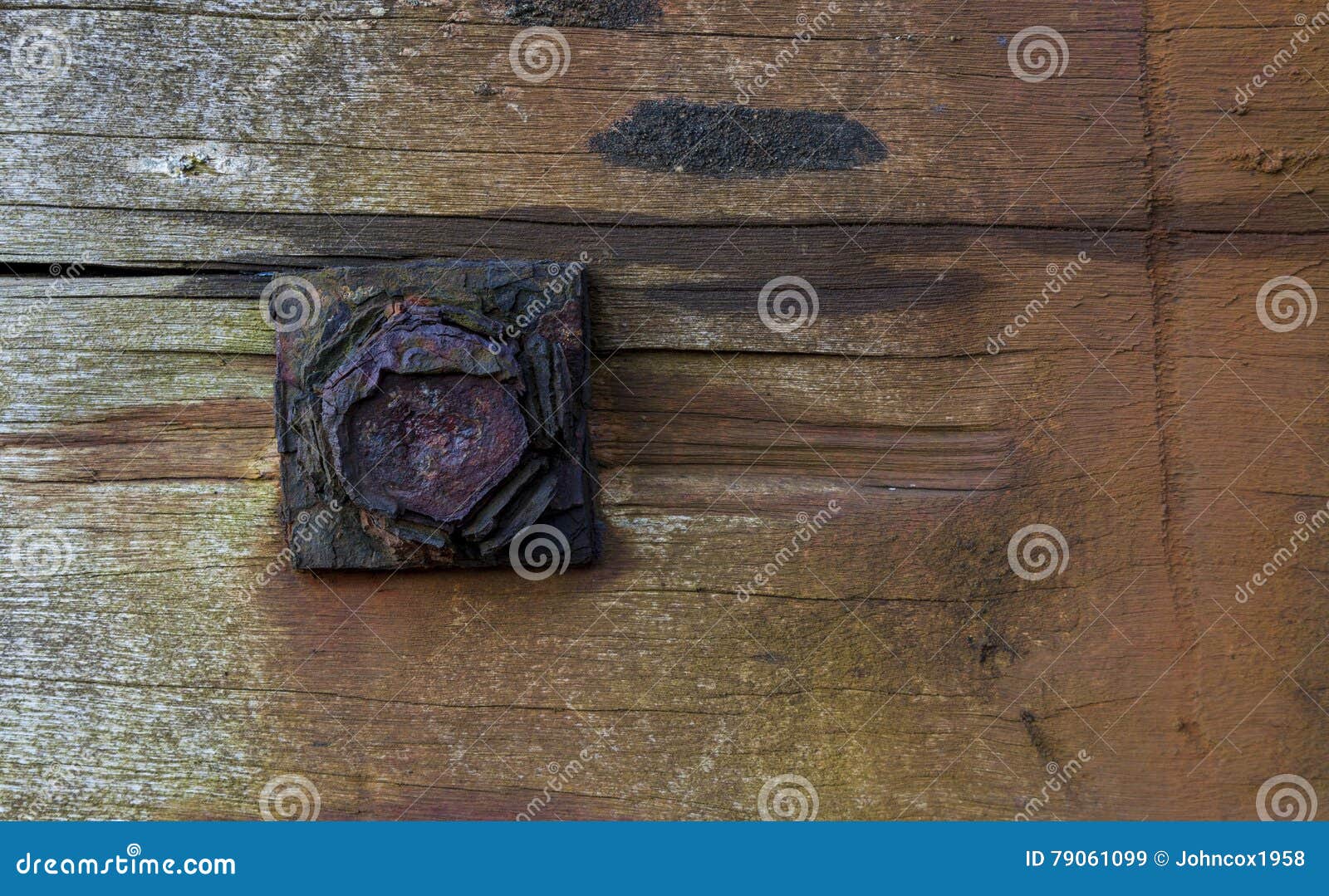Rusty bolt through timber. stock image. Image of wood - 79061099