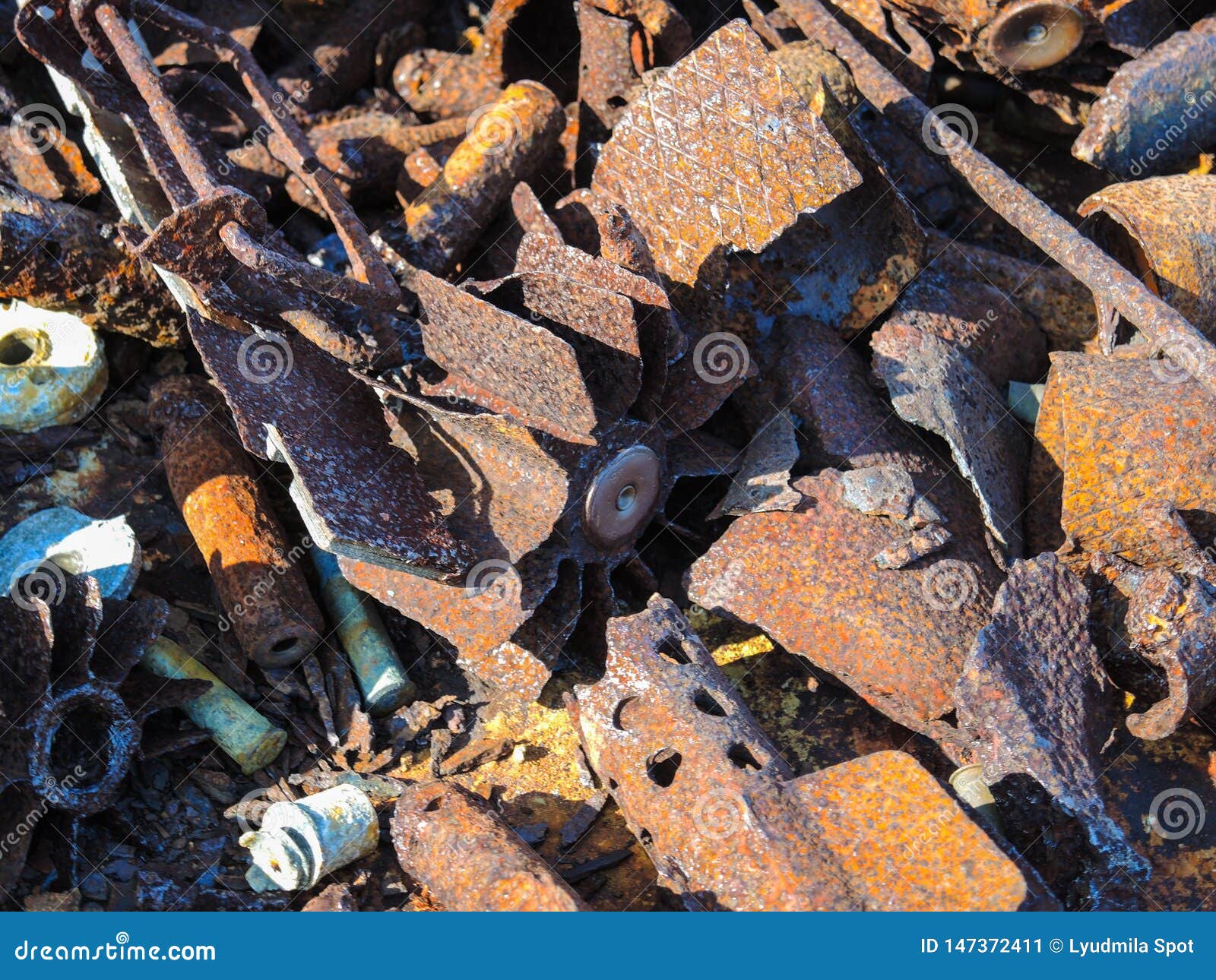 A Rusty Bomb. German Mortar Mine 50 Millimeters. World War II Mine. On ...