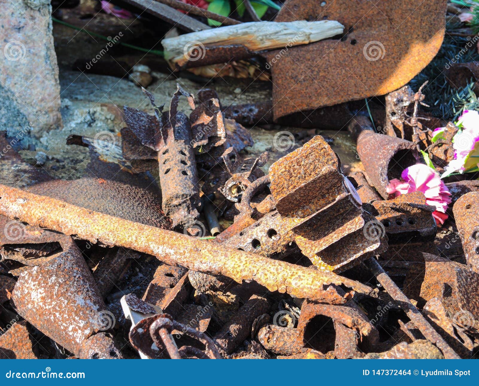A Rusty Bomb. German Mortar Mine 50 Millimeters. World War II Mine. On ...