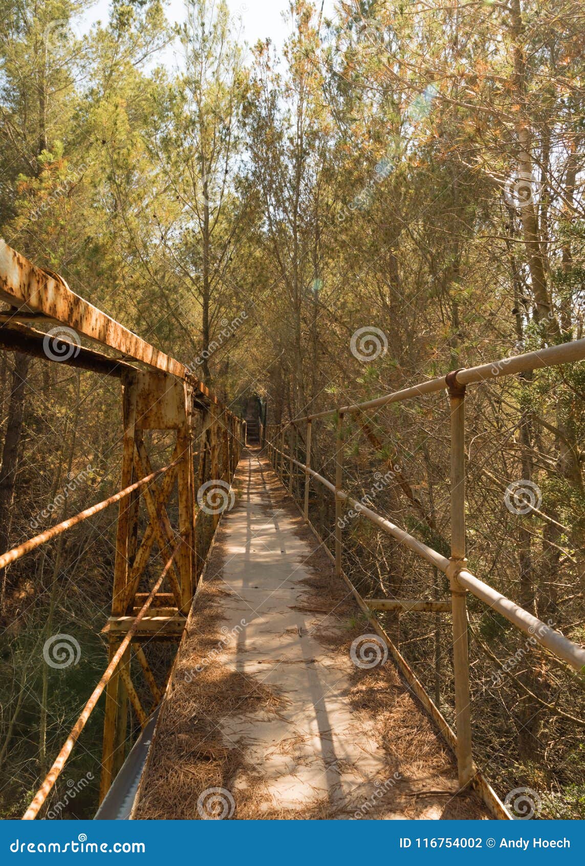 The Rusty Bridge To the Other Side Stock Photo - Image of danger ...