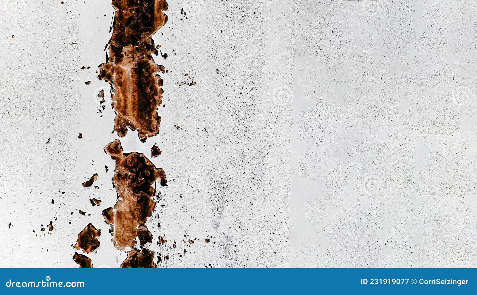Rusty Bright White Metal Wall Texture, with Space for Text, Background ...