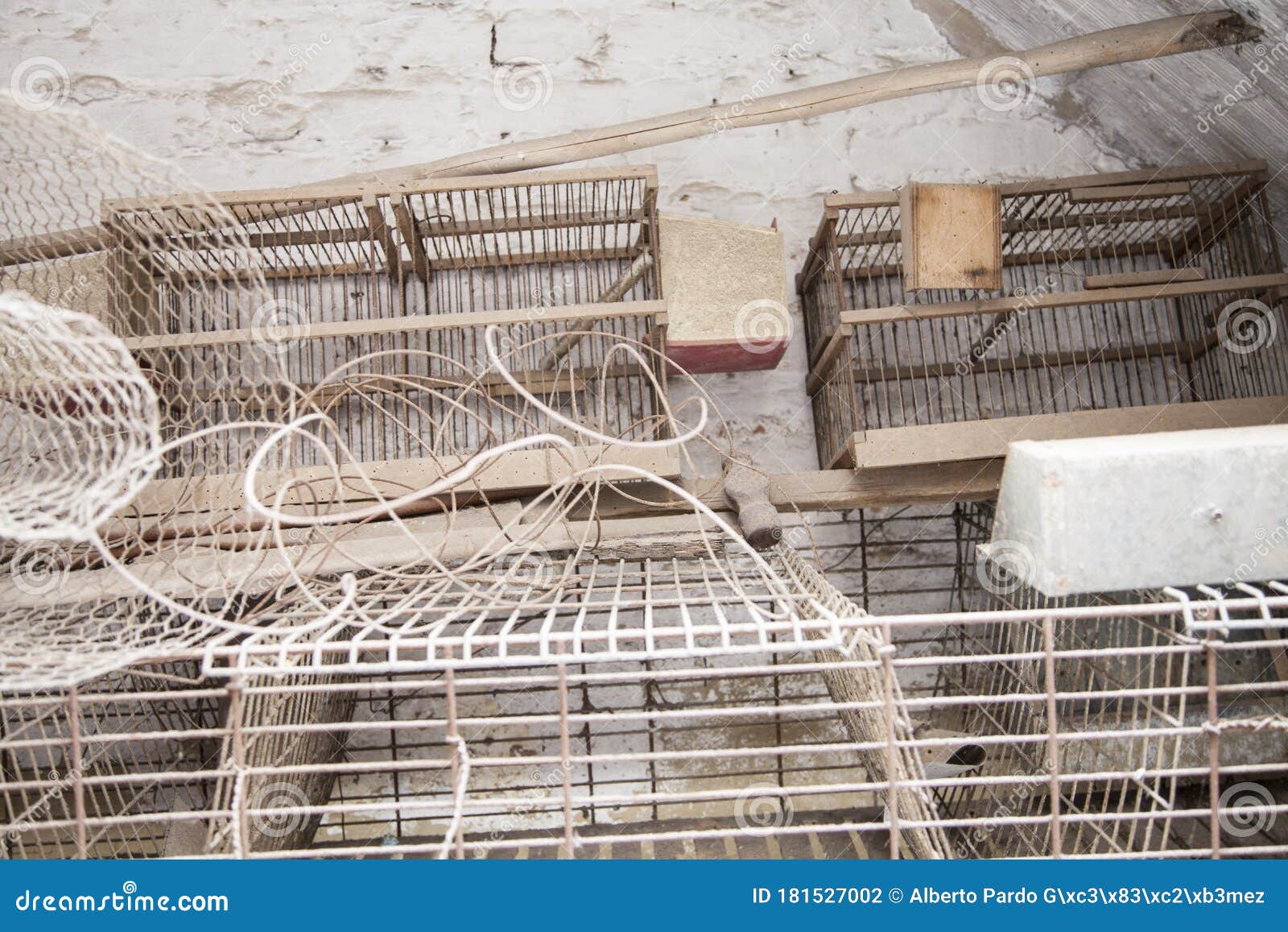 Rusty and Broken Old Animal Cages Stock Photo - Image of pattern ...