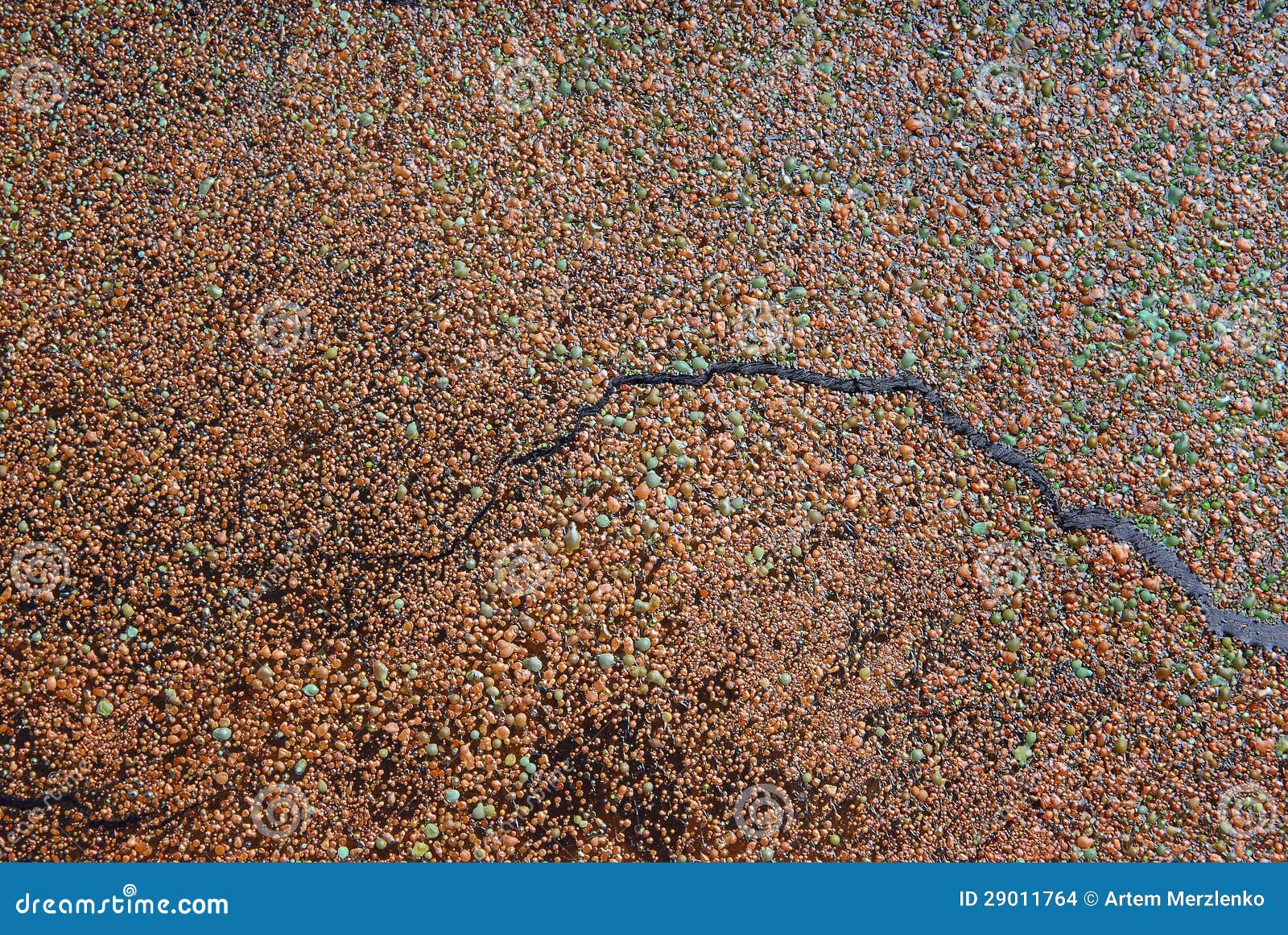 Rusty Brown Textured Metal on the Water Stock Photo - Image of rough ...