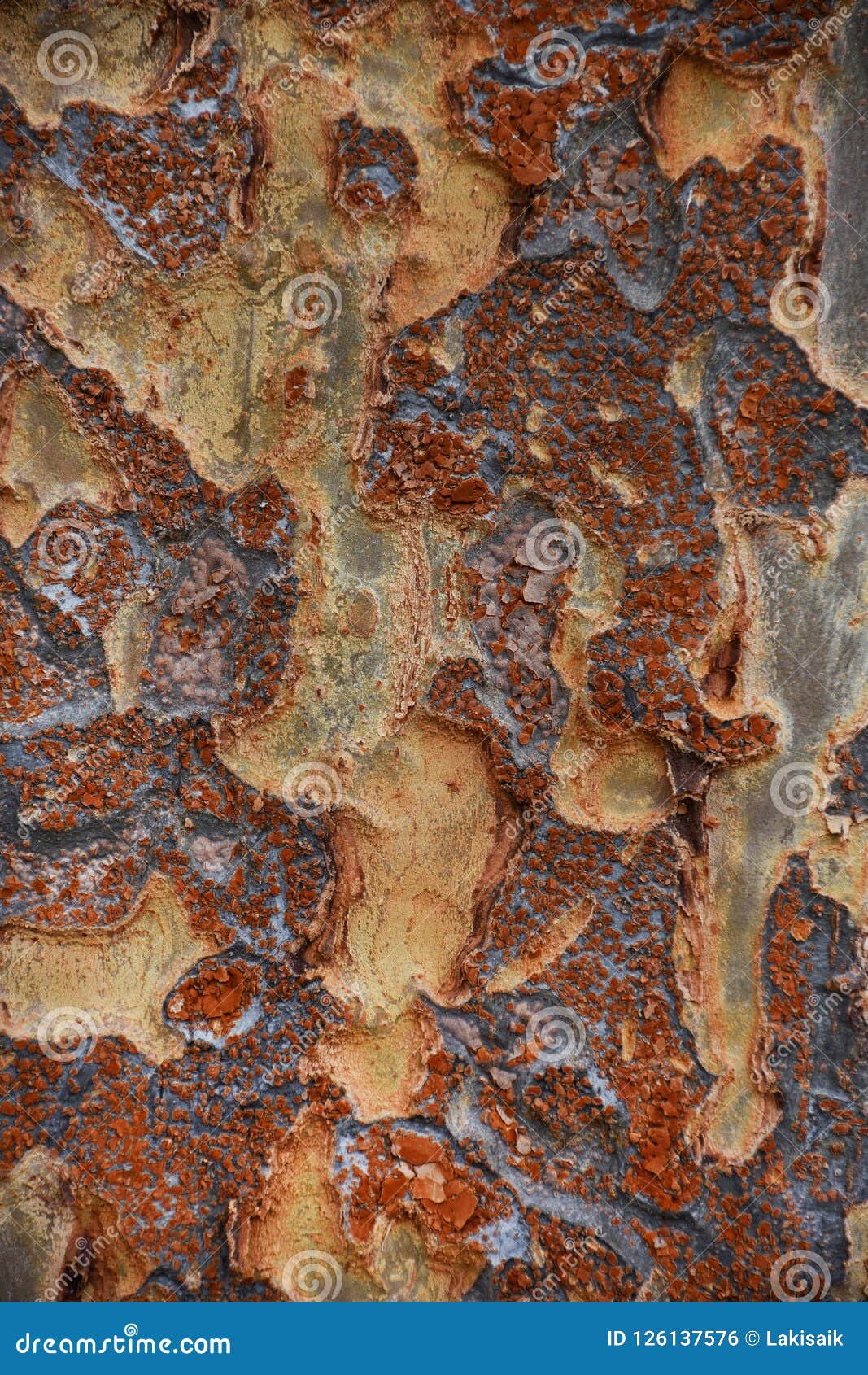 Rusty Brown Tree Bark stock photo. Image of naked, brown - 126137576