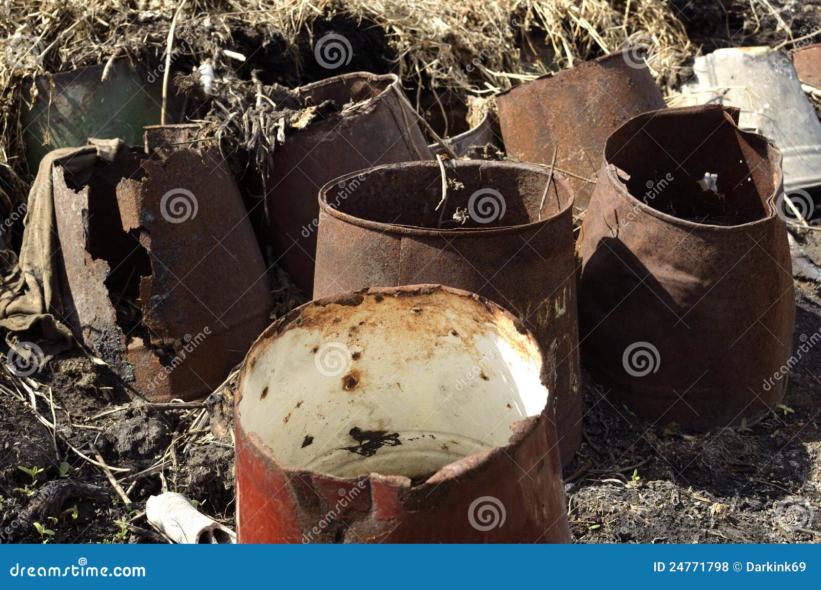 Rusty bucket stock photo. Image of dust, compost, grass - 24771798