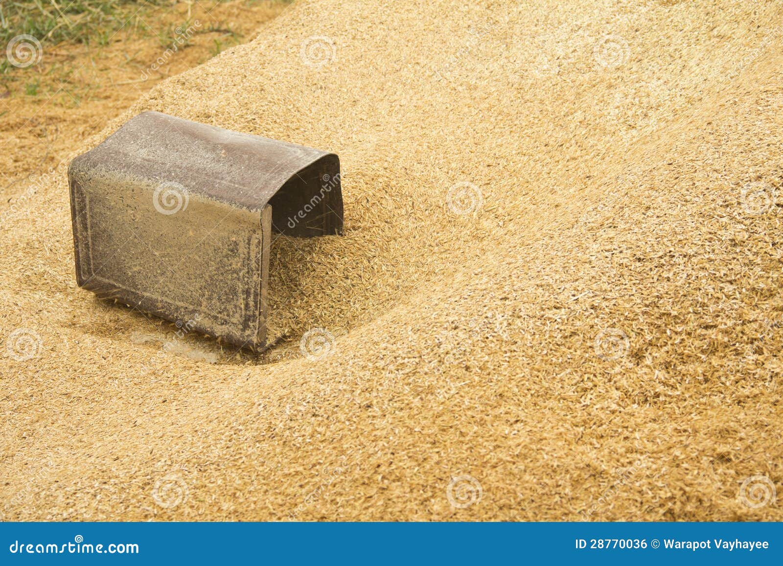 Rusty bucket in chaff stock photo. Image of rural, mill - 28770036