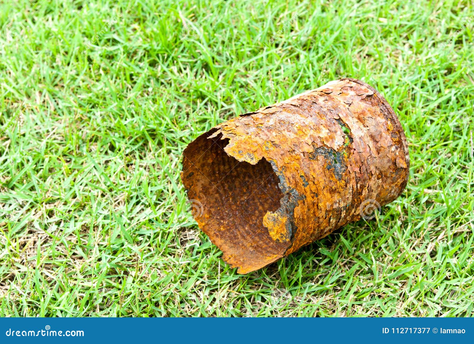 Rusty can on green grass stock image. Image of metal - 112717377