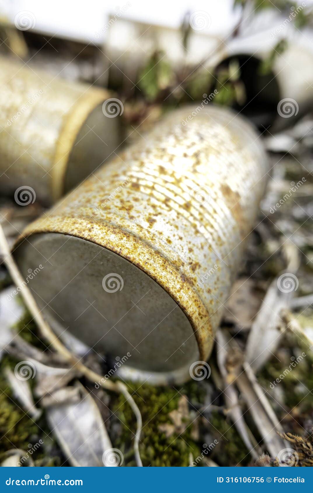 Rusty can in nature stock photo. Image of rusty, rough - 316106756