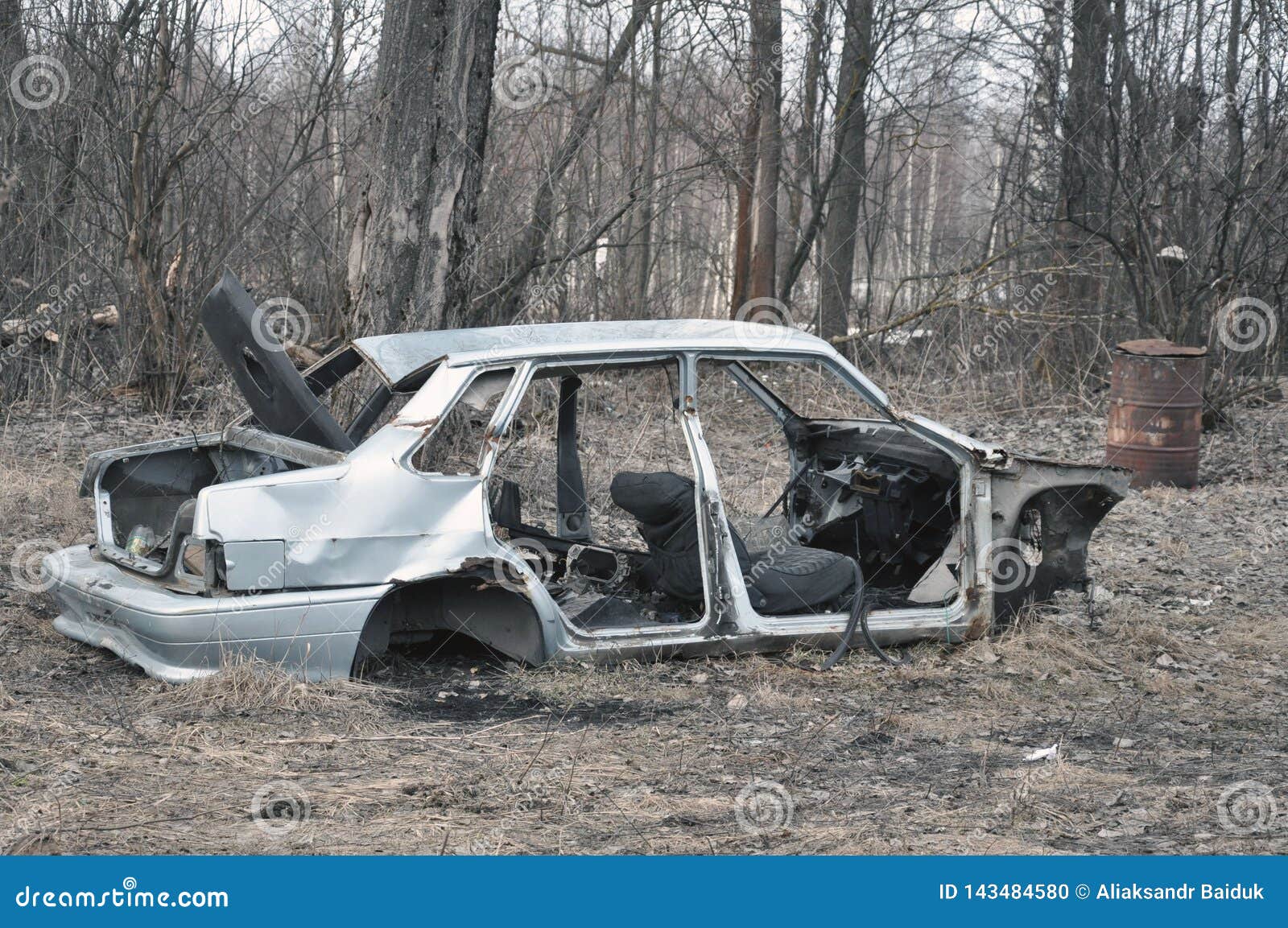 Rusty Car Frame in the Forest. Ecological Problems Stock Photo - Image ...
