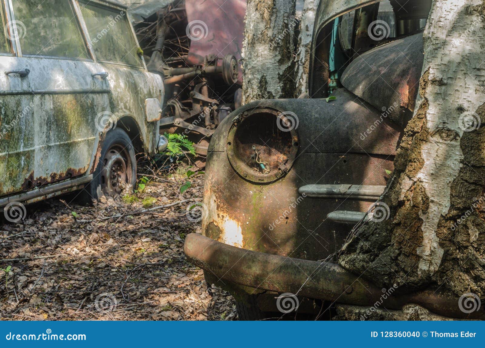Rusty car with tree stock photo. Image of industry, discovery - 128360040
