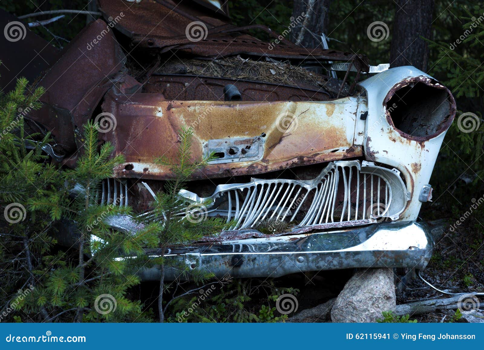 Rusty car wreck stock image. Image of decay, nature, front - 62115941
