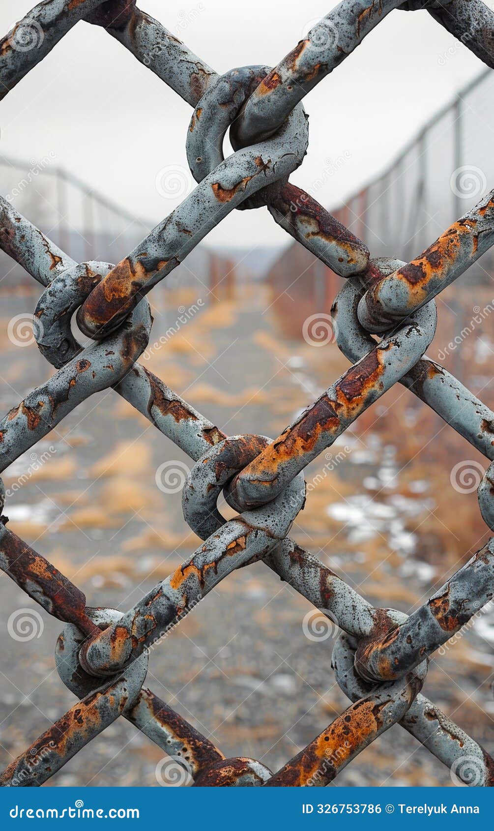 A Rusty Chain Link Fence with a Few Links Missing. the Fence is Old and ...