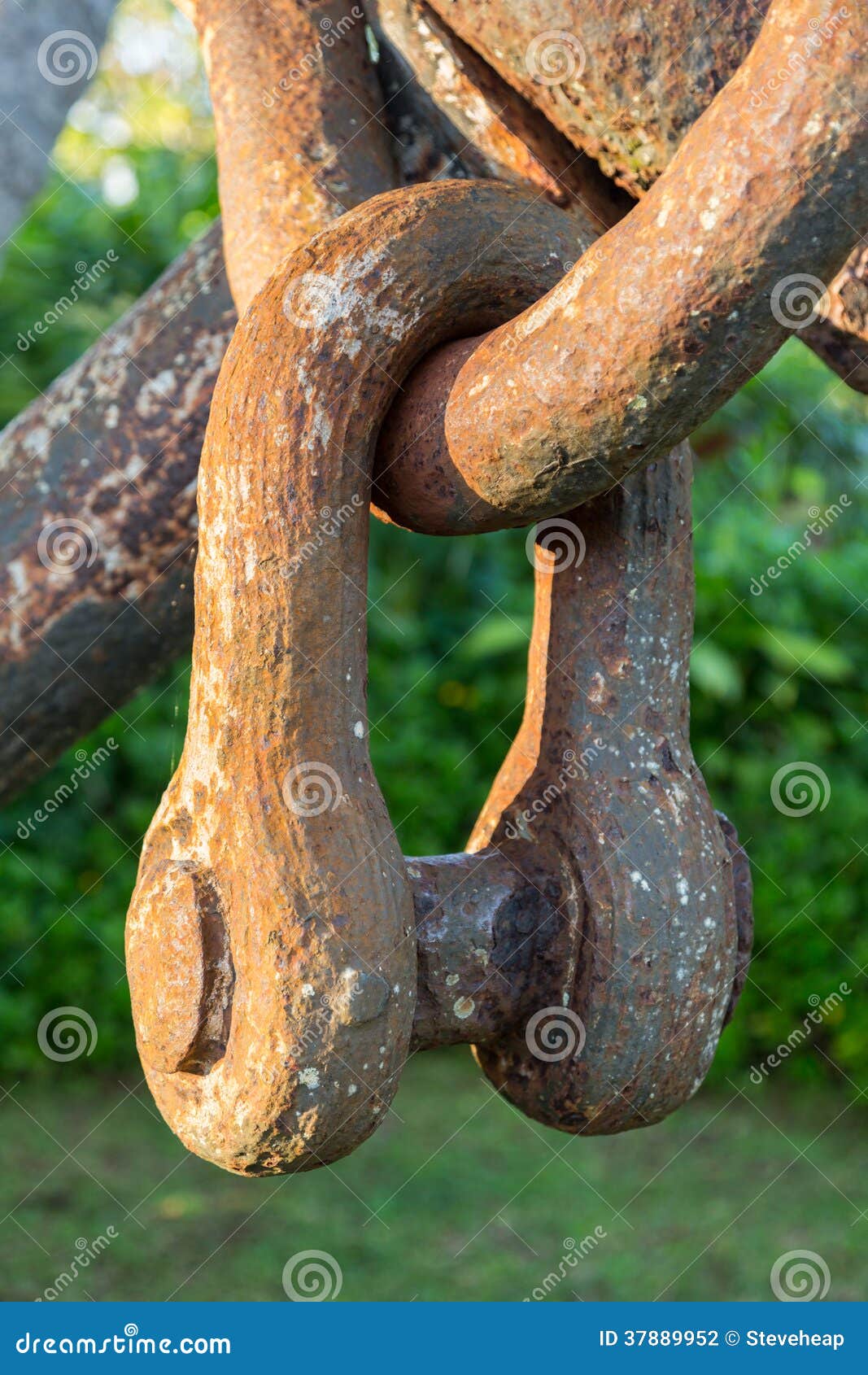 Rusty Chain Links on Large Anchor in Garden Stock Photo - Image of ...