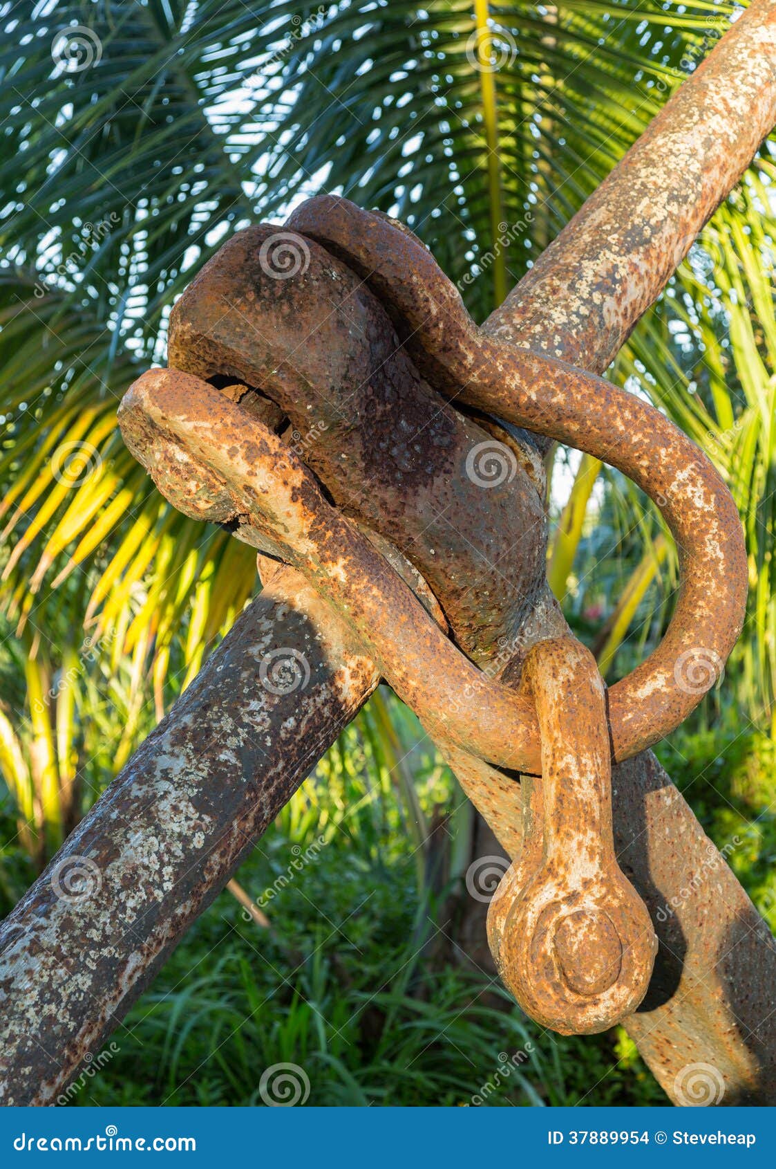 Rusty Chain Links on Large Anchor in Garden Stock Photo - Image of ...