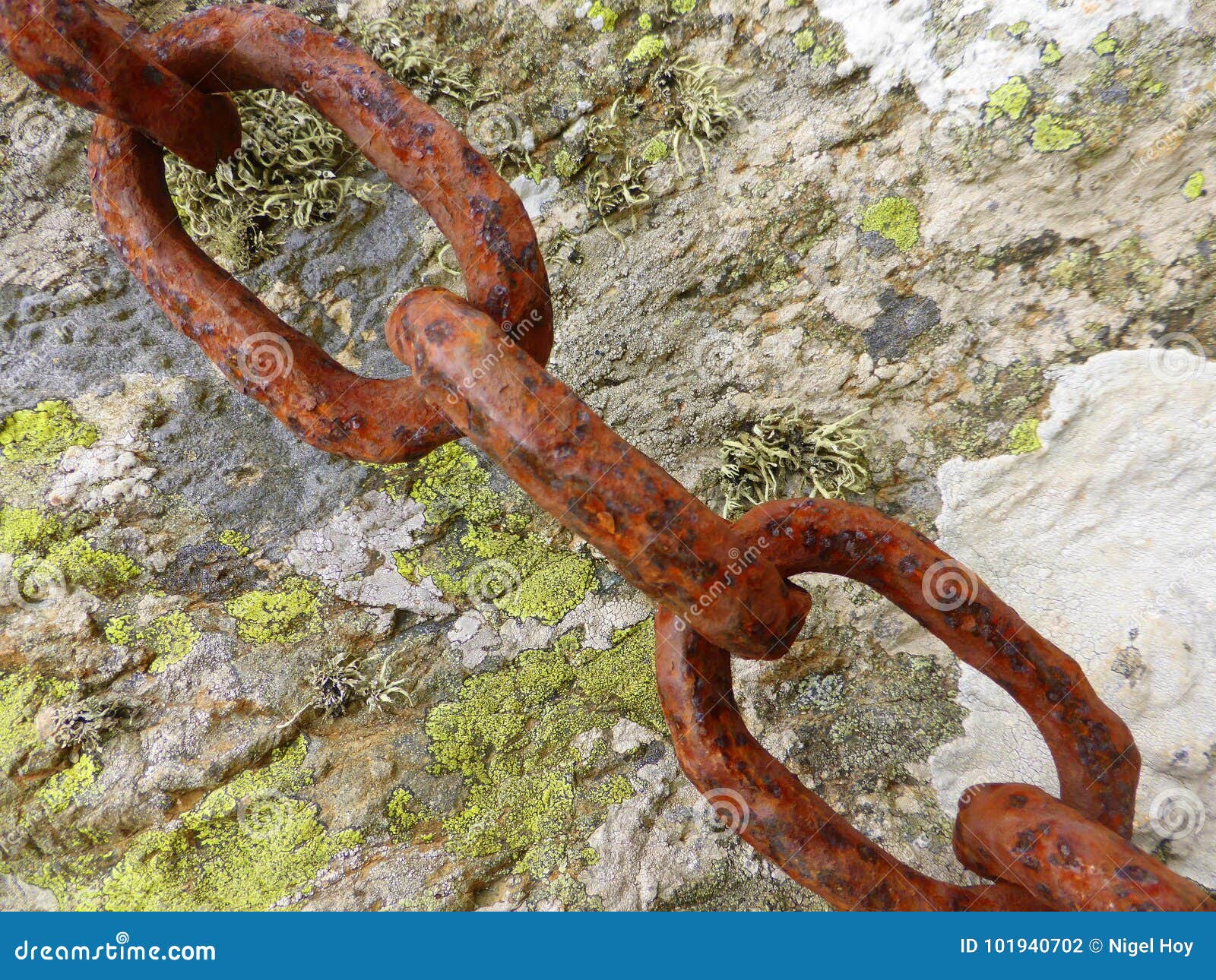 Rusty chain links stock photo. Image of lichen, worn - 101940702