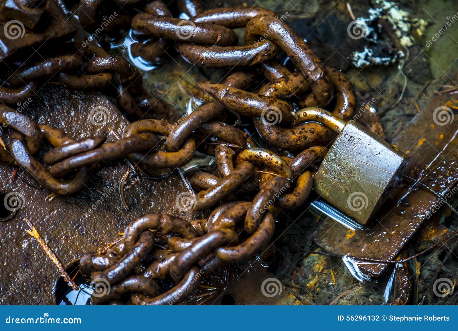 Rusty chain and lock stock photo. Image of entrance, bronze - 56296132
