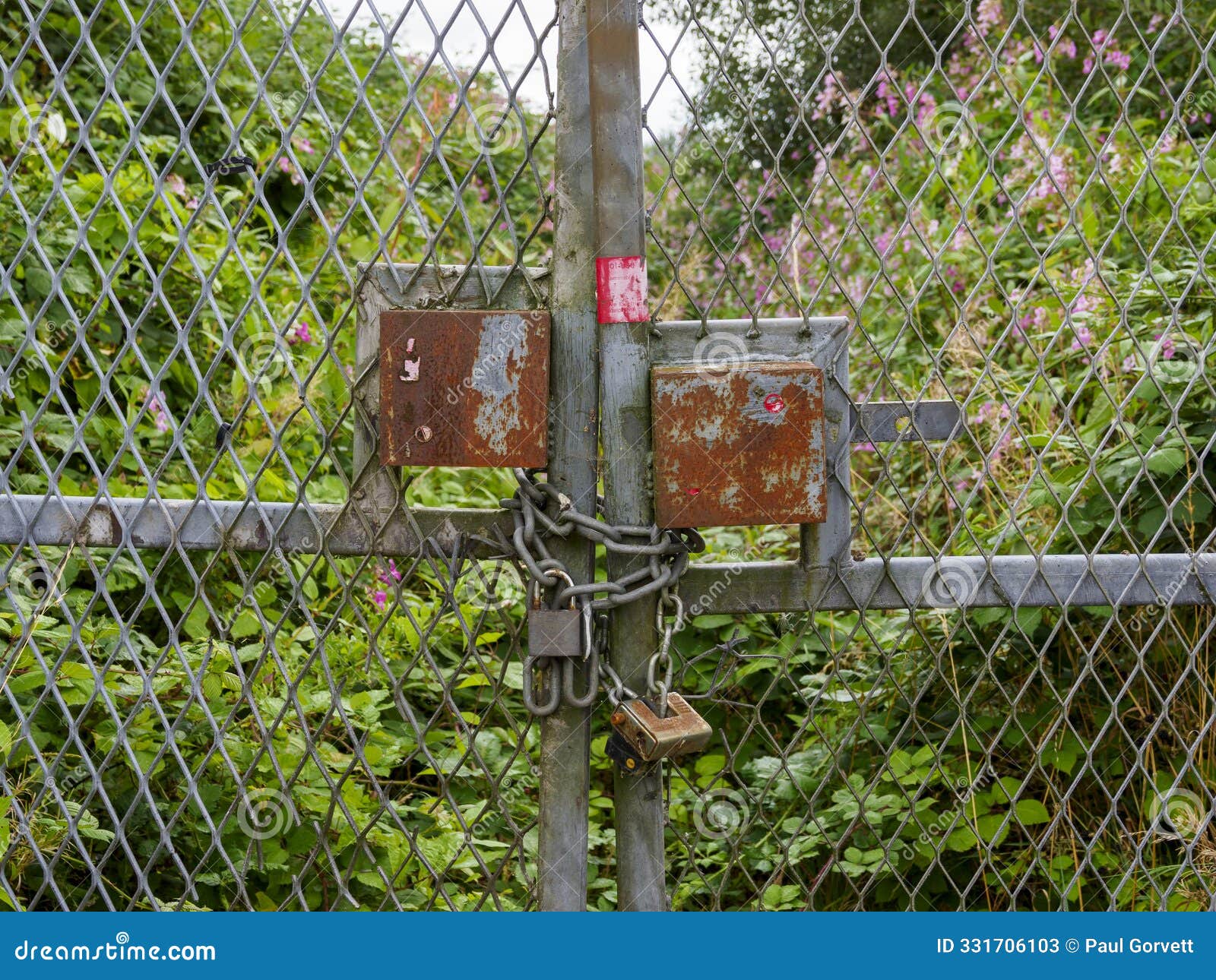 Rusty Chained Gate Against a Backdrop of Overgrown Vegetation and ...