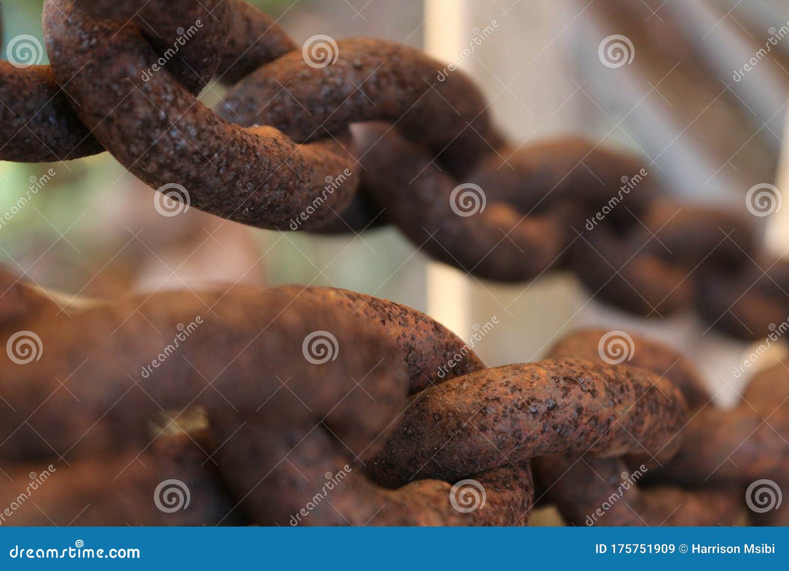 Rusty chains hanging stock image. Image of rusty, chains - 175751909