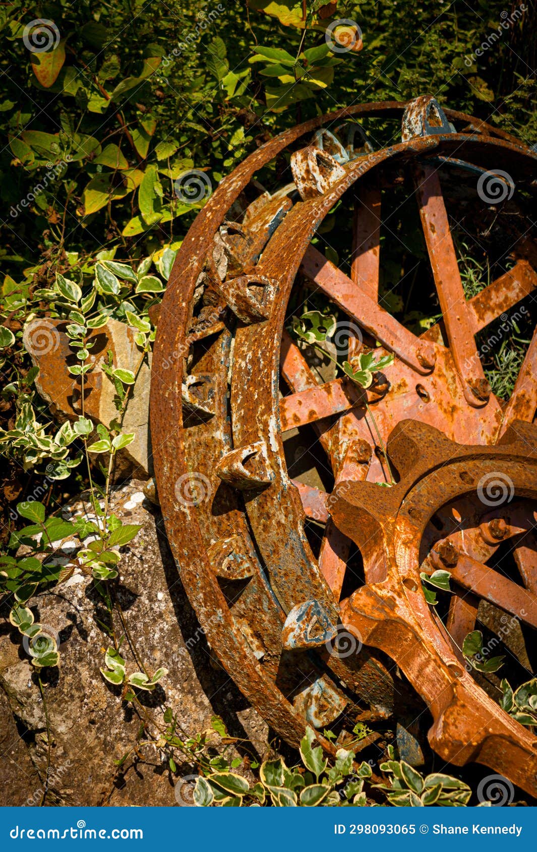 Rusty Cog Wheels stock image. Image of rusty, foliage - 298093065