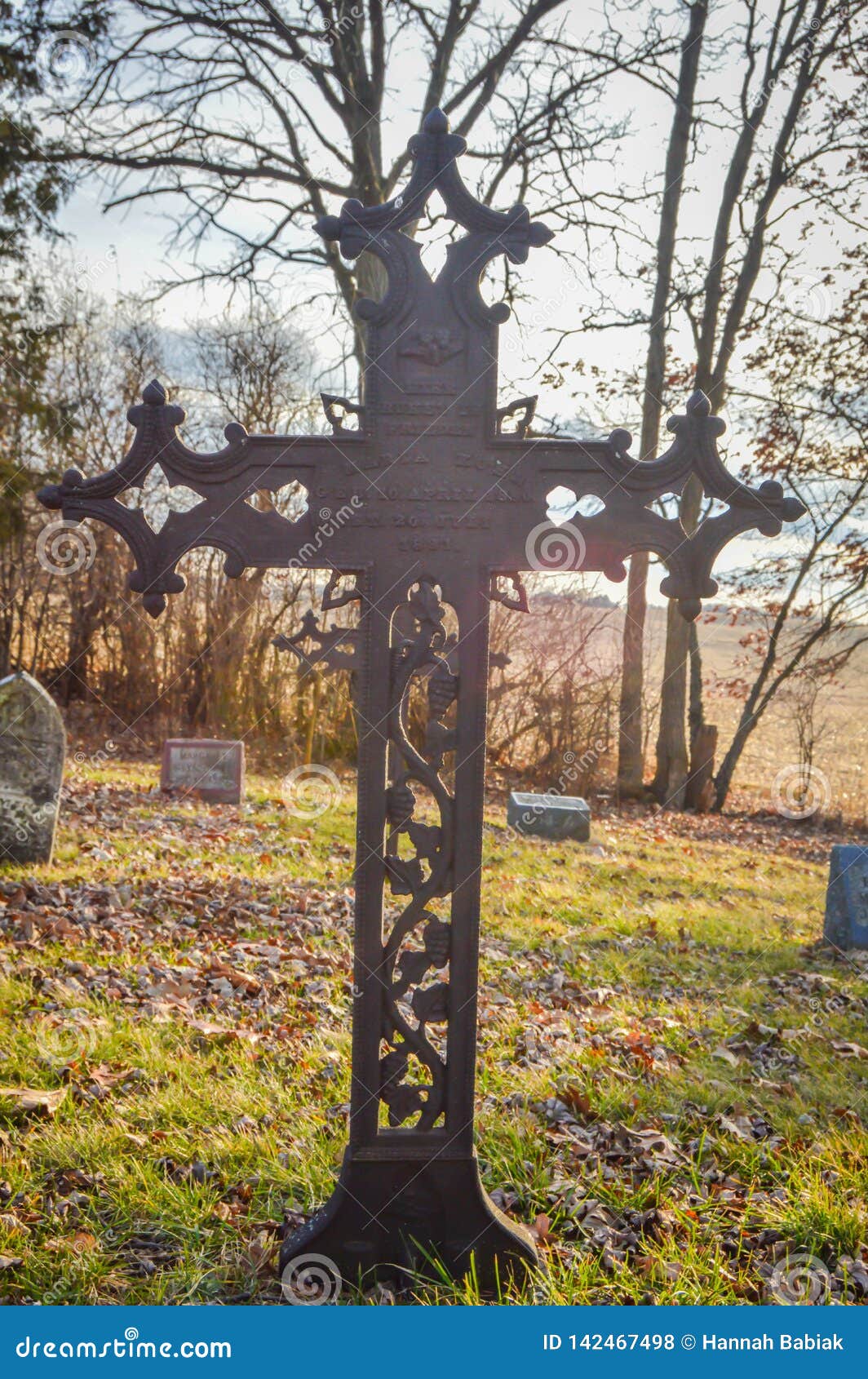 Rusty Cross with Tree Branches in Cemetery Stock Photo - Image of ...