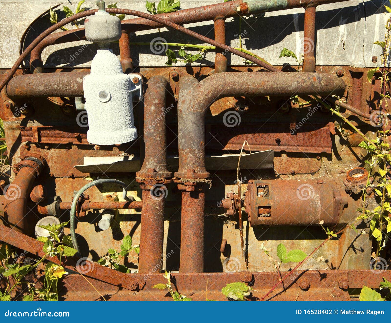 Rusty Engine With Vines stock photo. Image of abandoned - 16528402