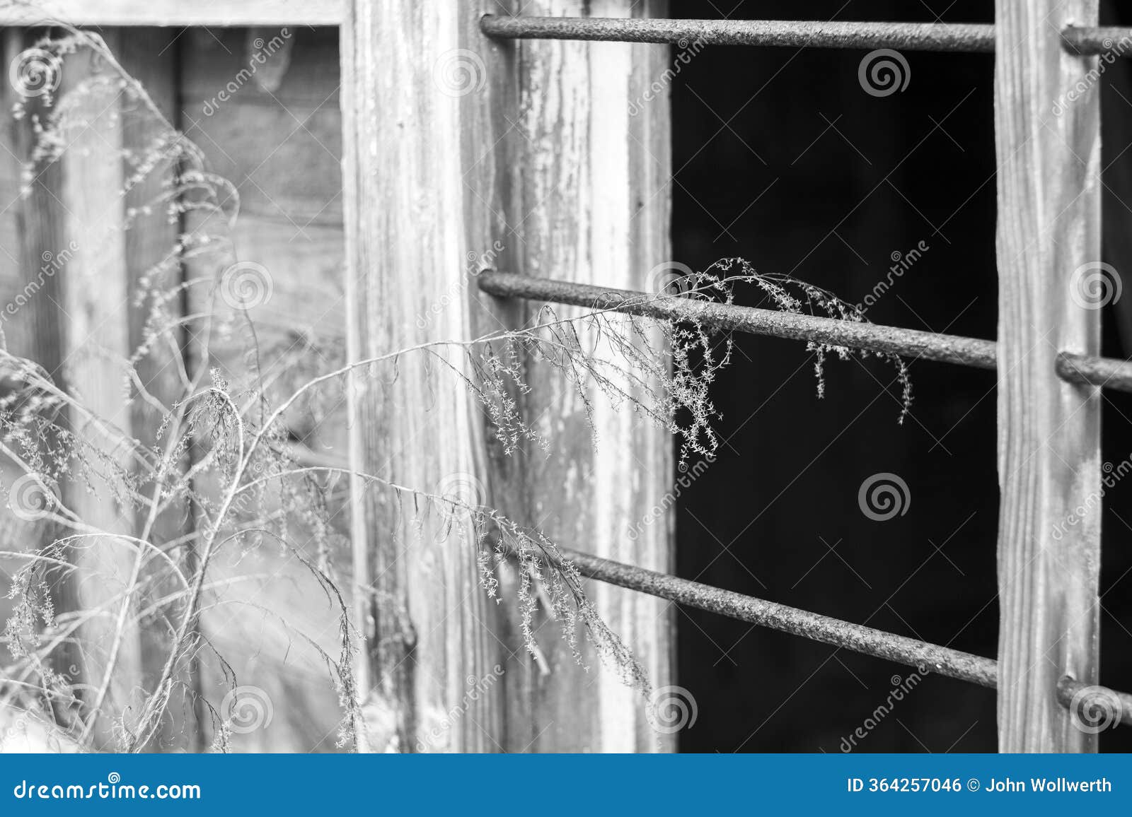 Rusty Conduit System Stock Photography | CartoonDealer.com #11813348