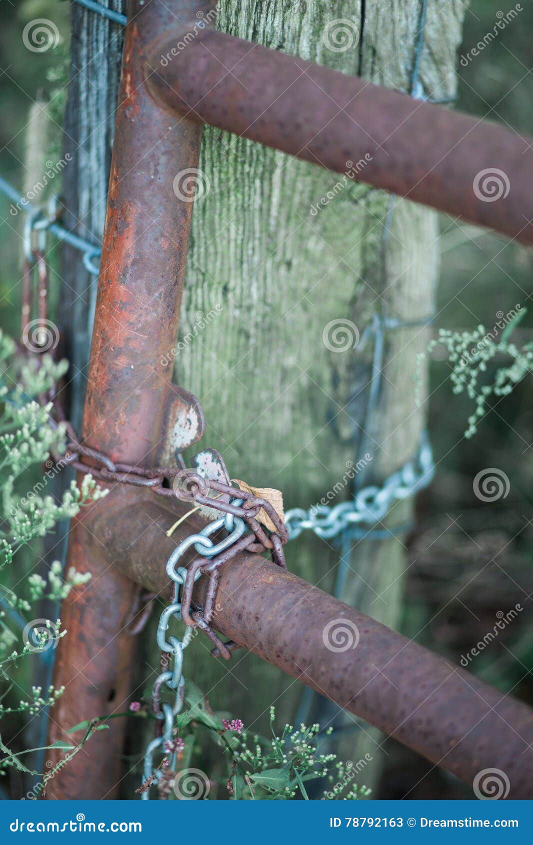 Rusty Farm Gate stock image. Image of pasture, farm, homestead - 78792163
