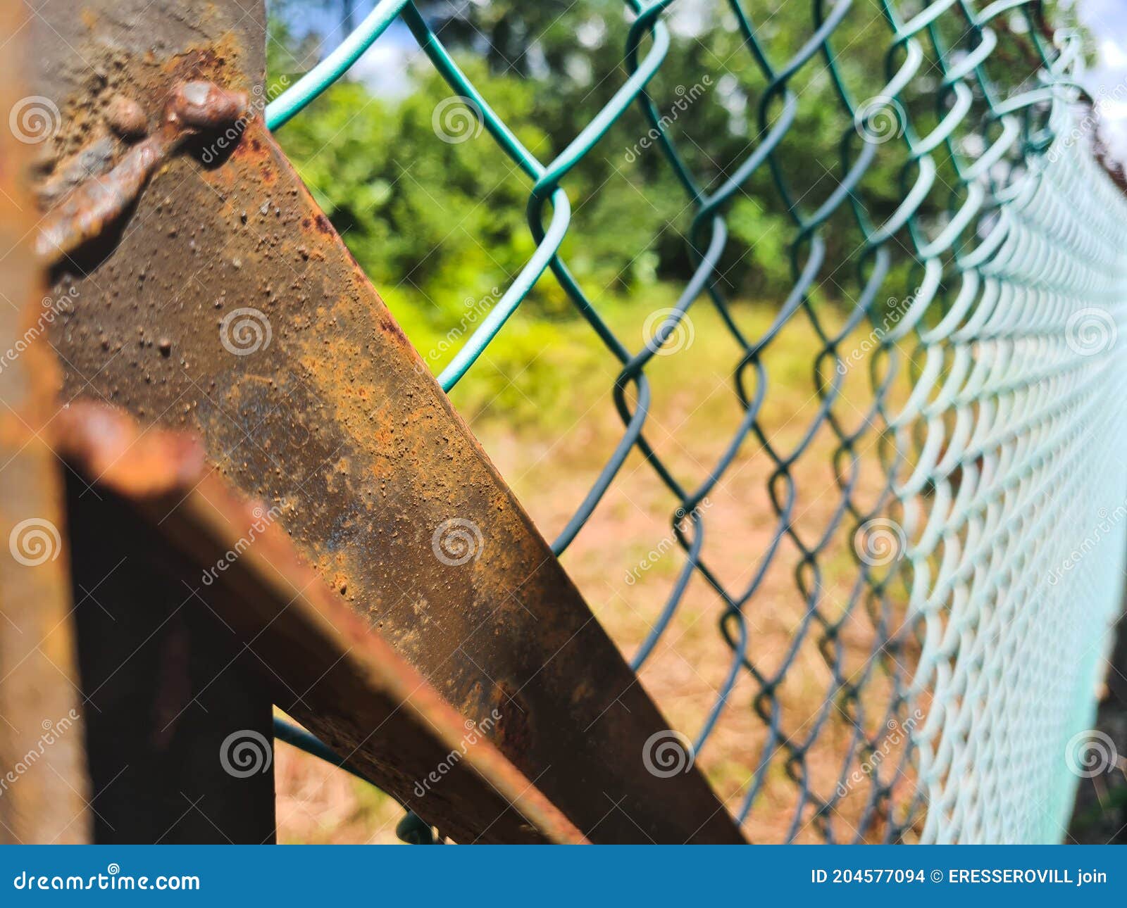 Rusty fence and chain link stock photo. Image of tree - 204577094